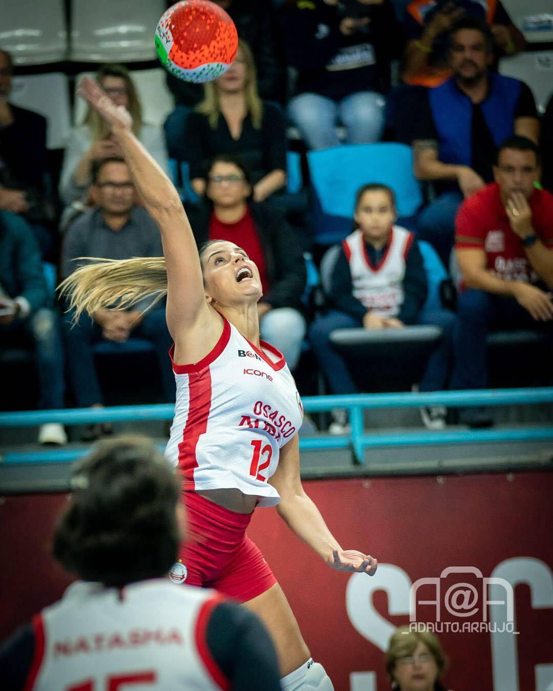 On the attack | Scrolller