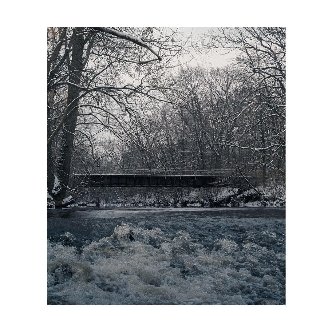 On the banks of the Red Cedar... | Scrolller