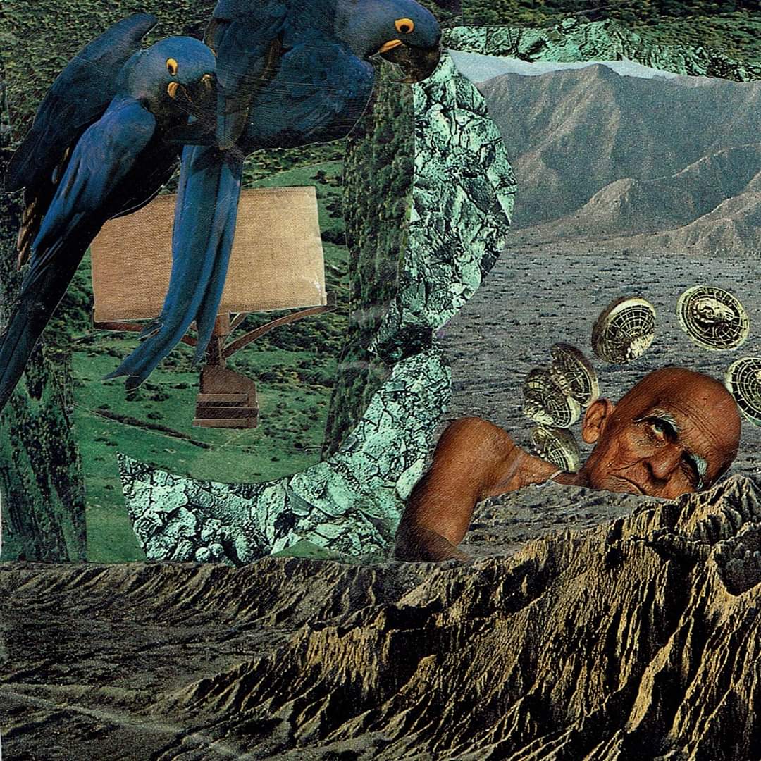 On the Seventh Day [analog] | Scrolller