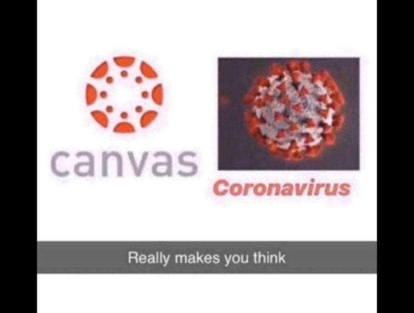 One and the same | Scrolller