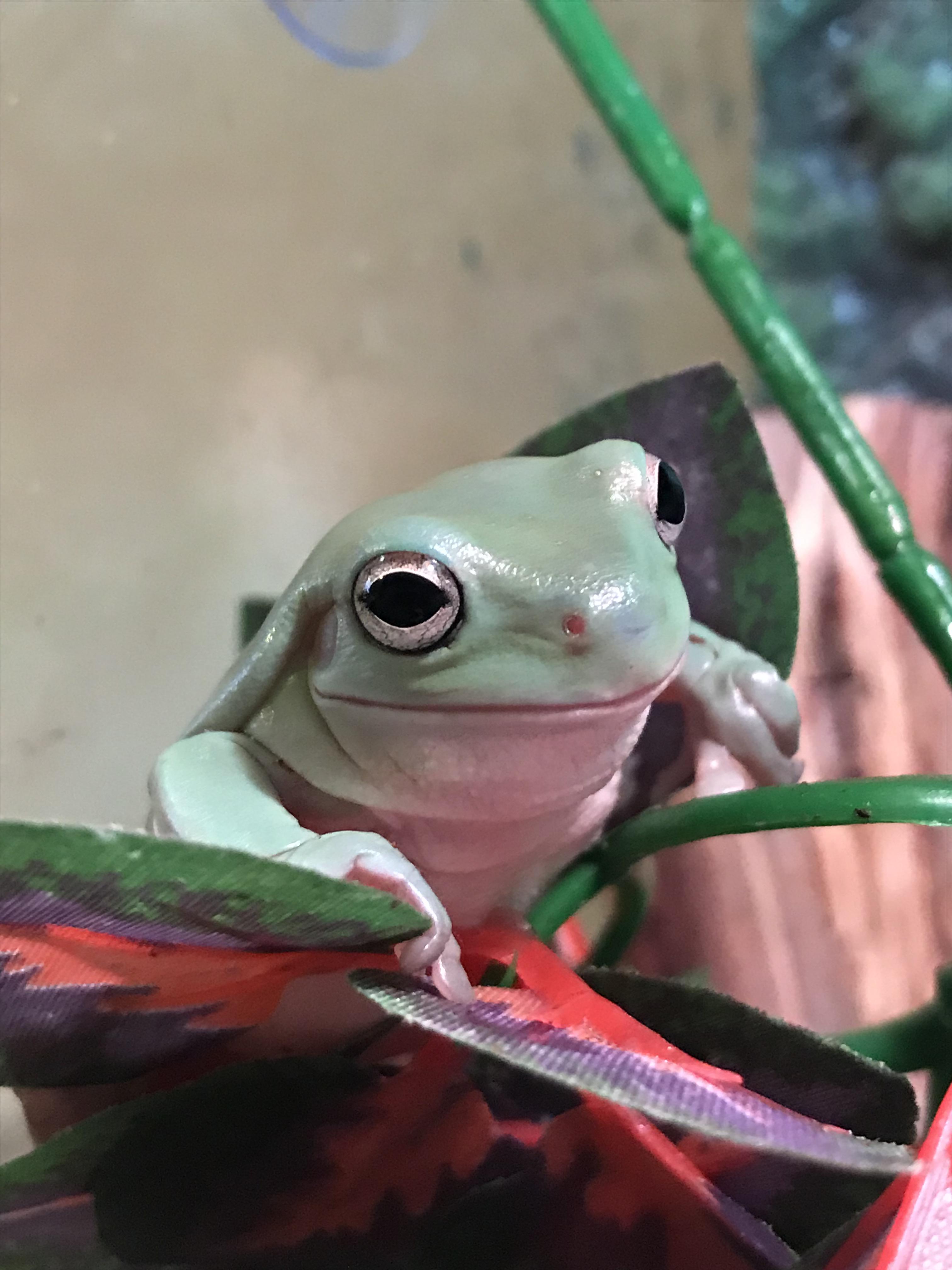 One of my favorite Gumby pics | Scrolller