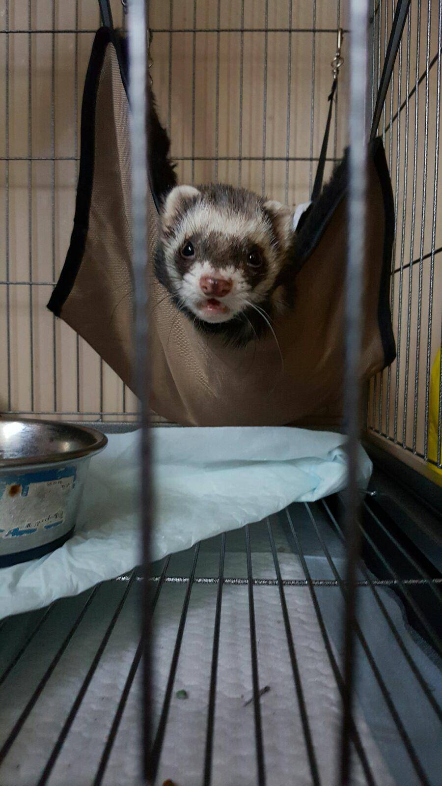 One of Oli's rare facial expressions captured | Scrolller