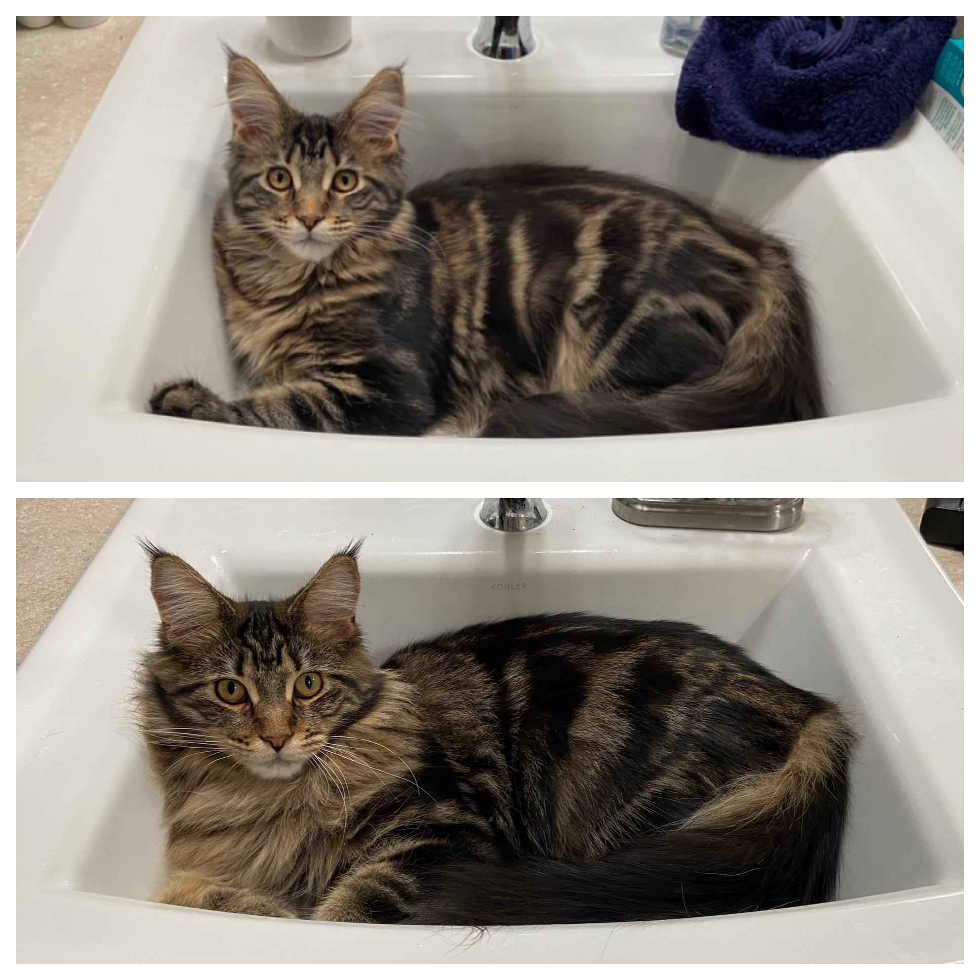 One of Ozzy’s all-time favorite spots. He gives bonus points if it’s wet | Scrolller