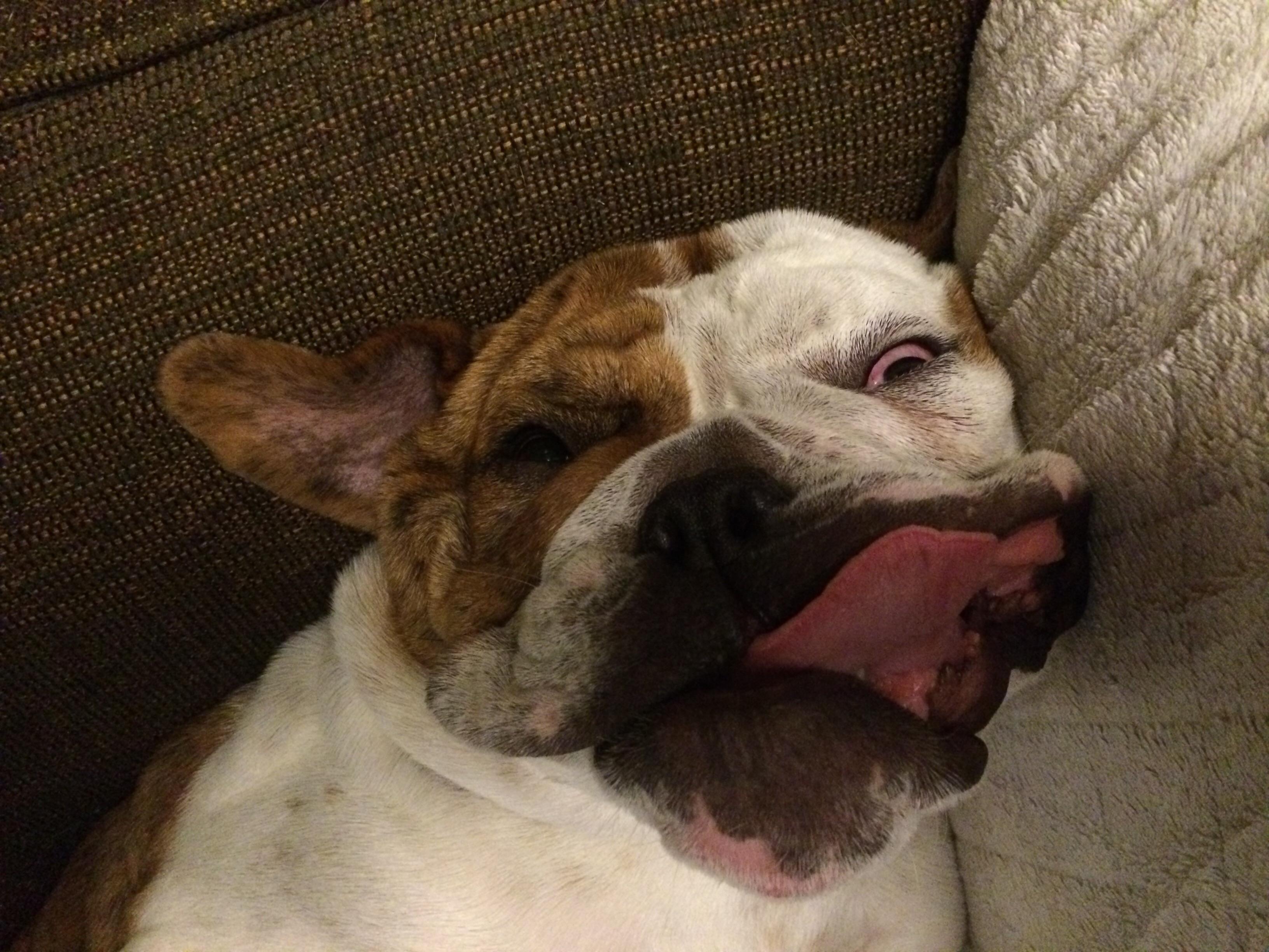 One of the many faces of Ruby. | Scrolller