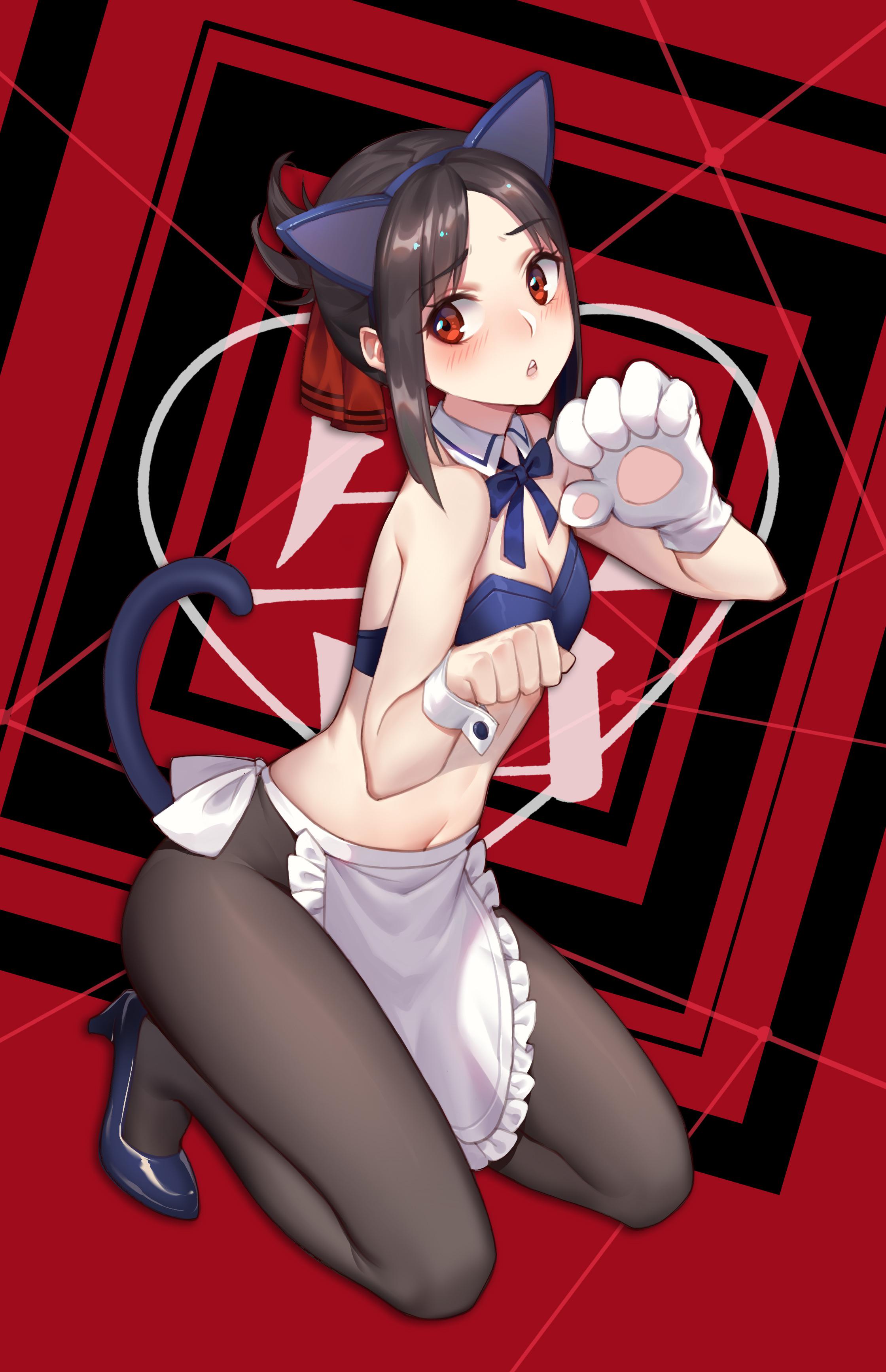 One paw maid [shinomiya kaguya] | Scrolller