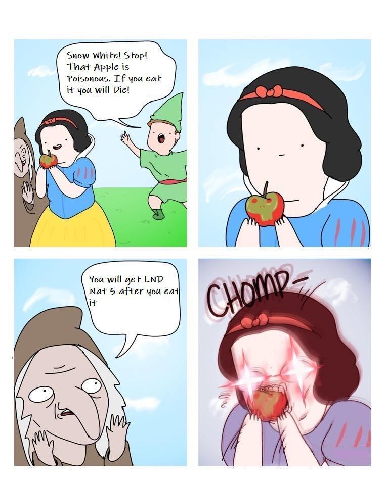 One Ragdoll please | Scrolller