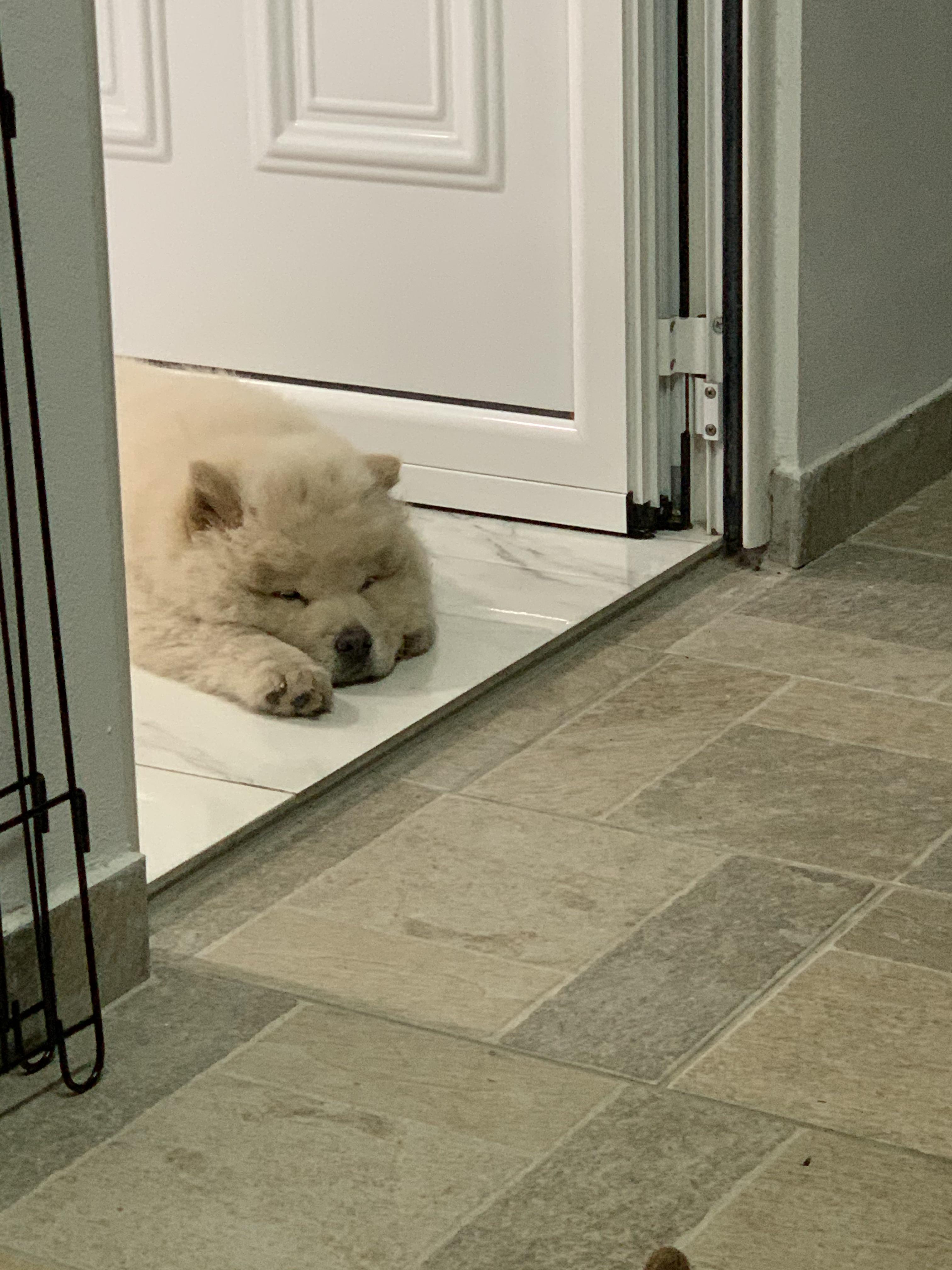 One very talented sleeper | Scrolller