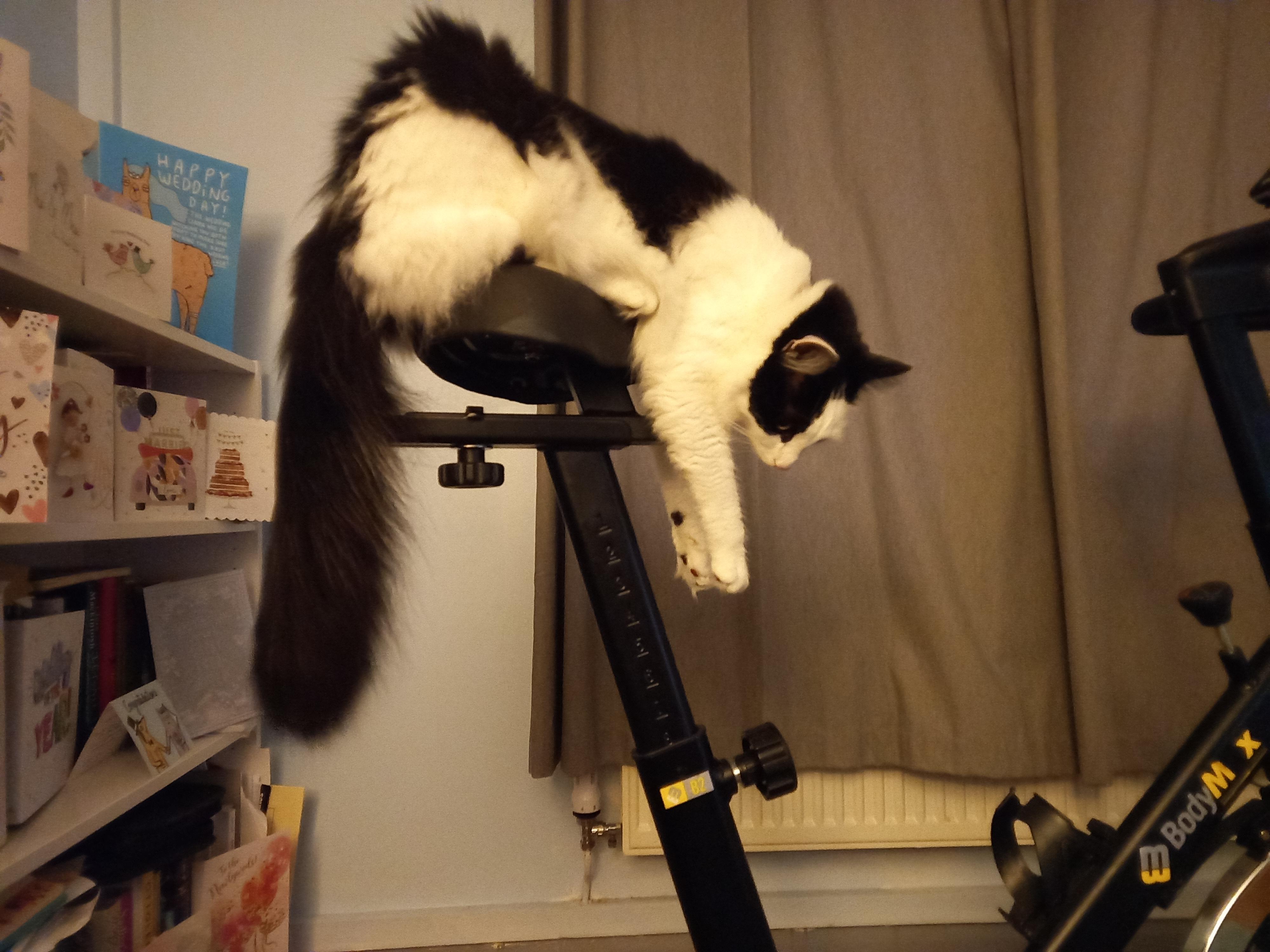 One way to exercise | Scrolller