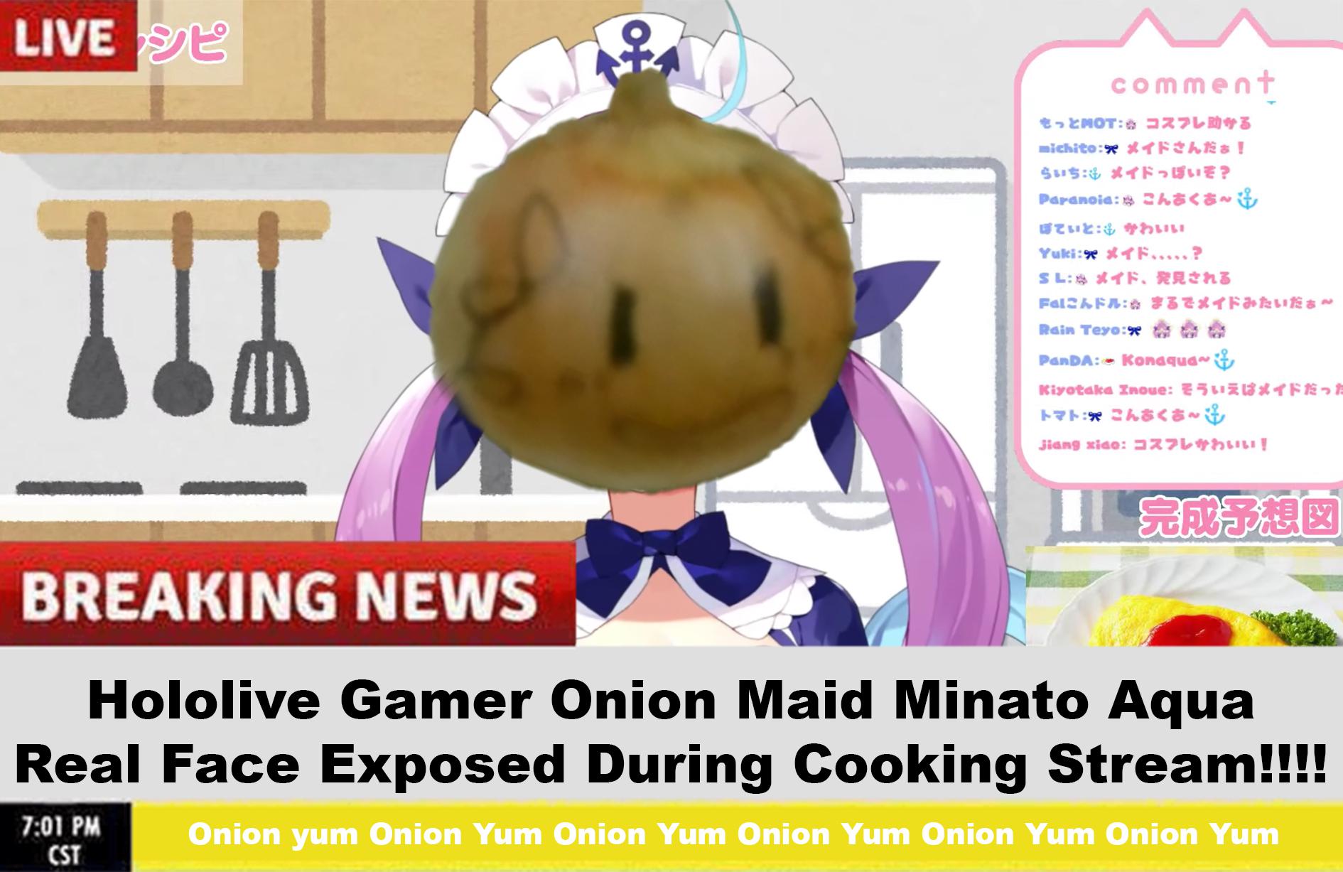 Onion Gamer Maid Real Face Exposed!?!?!? | Scrolller
