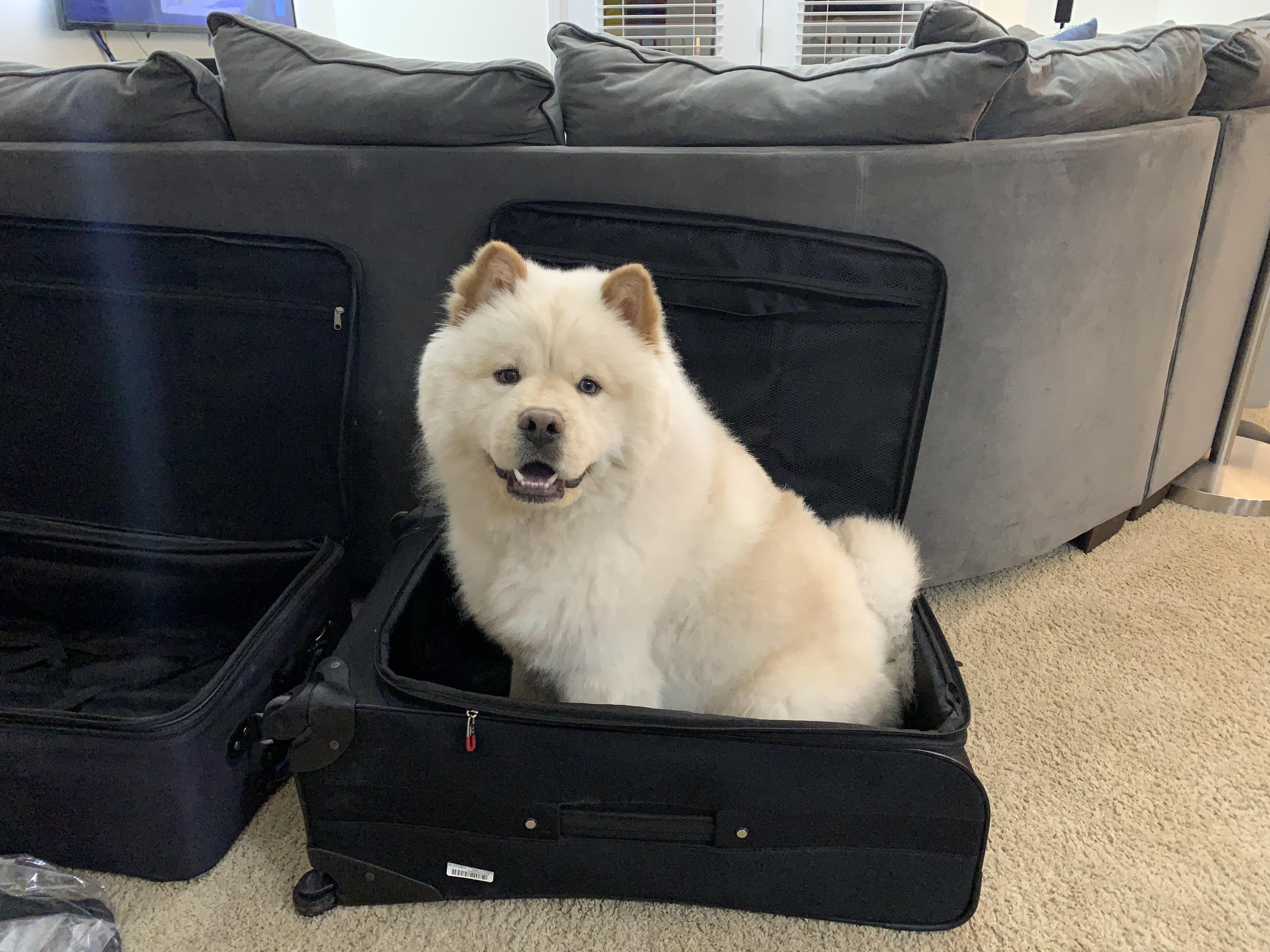 Only packing the essentials for our cruise | Scrolller