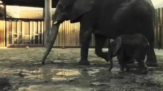 ooooh a puddle | Scrolller