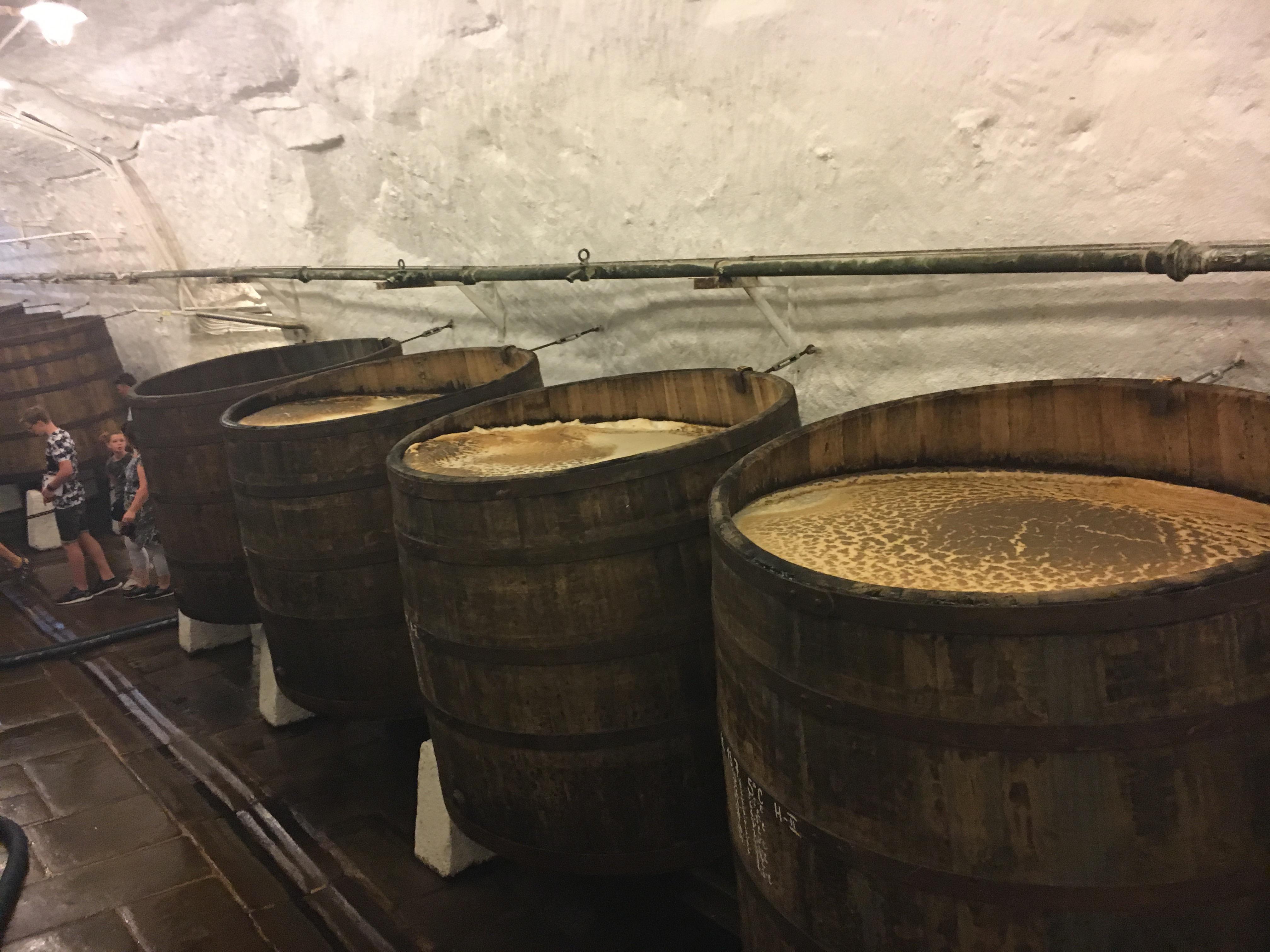Open fermentation in the cellar of Pilsner Urquell brewery. | Scrolller