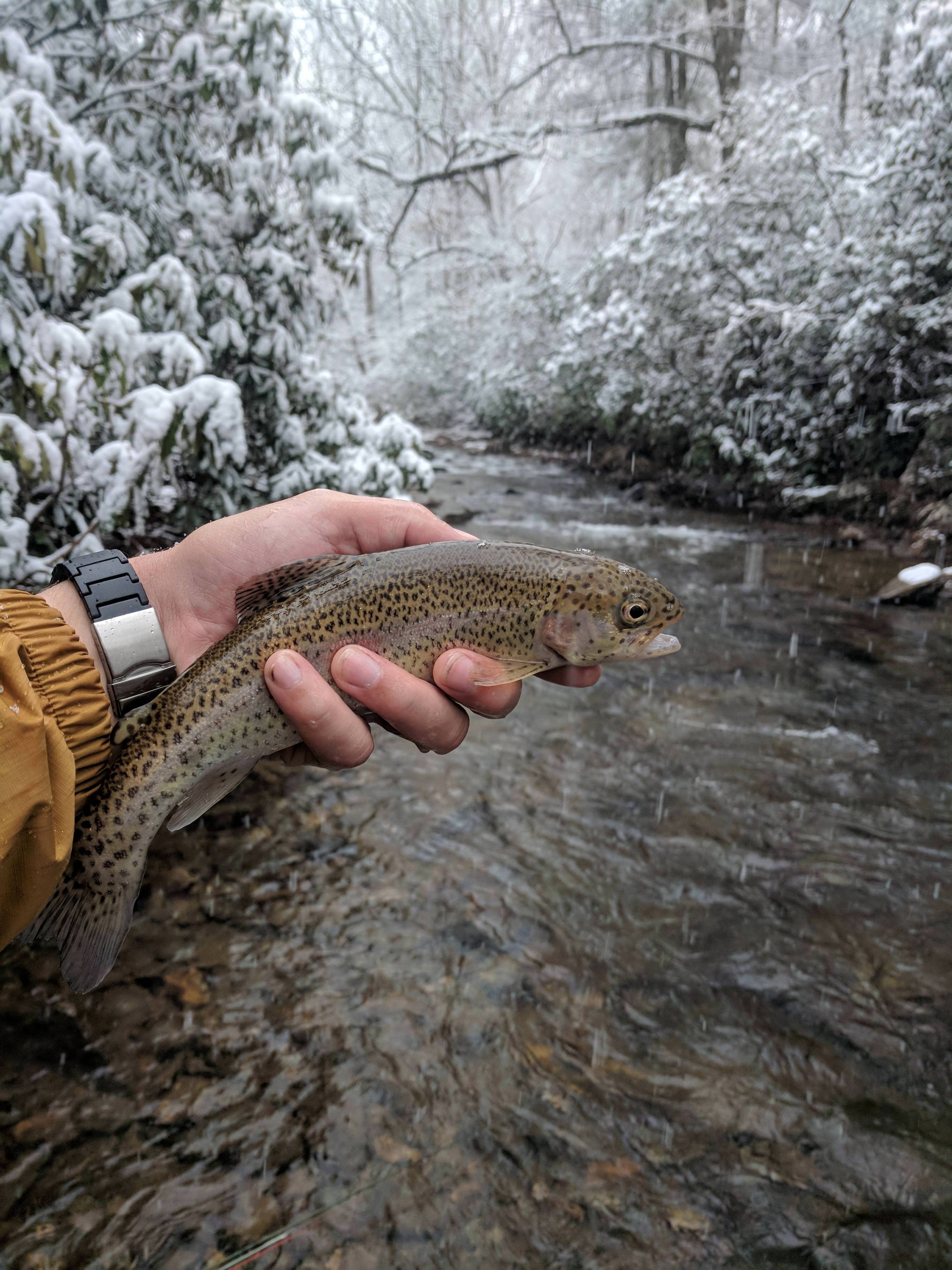 Opening day of snow fishing here in Western North Carolina. | Scrolller