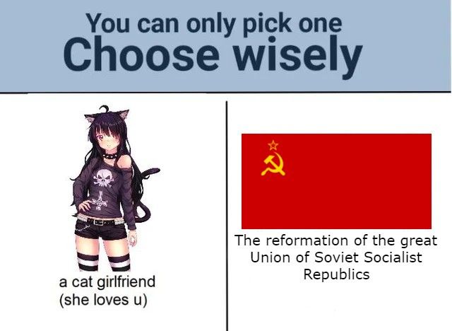 Option 1 | Scrolller