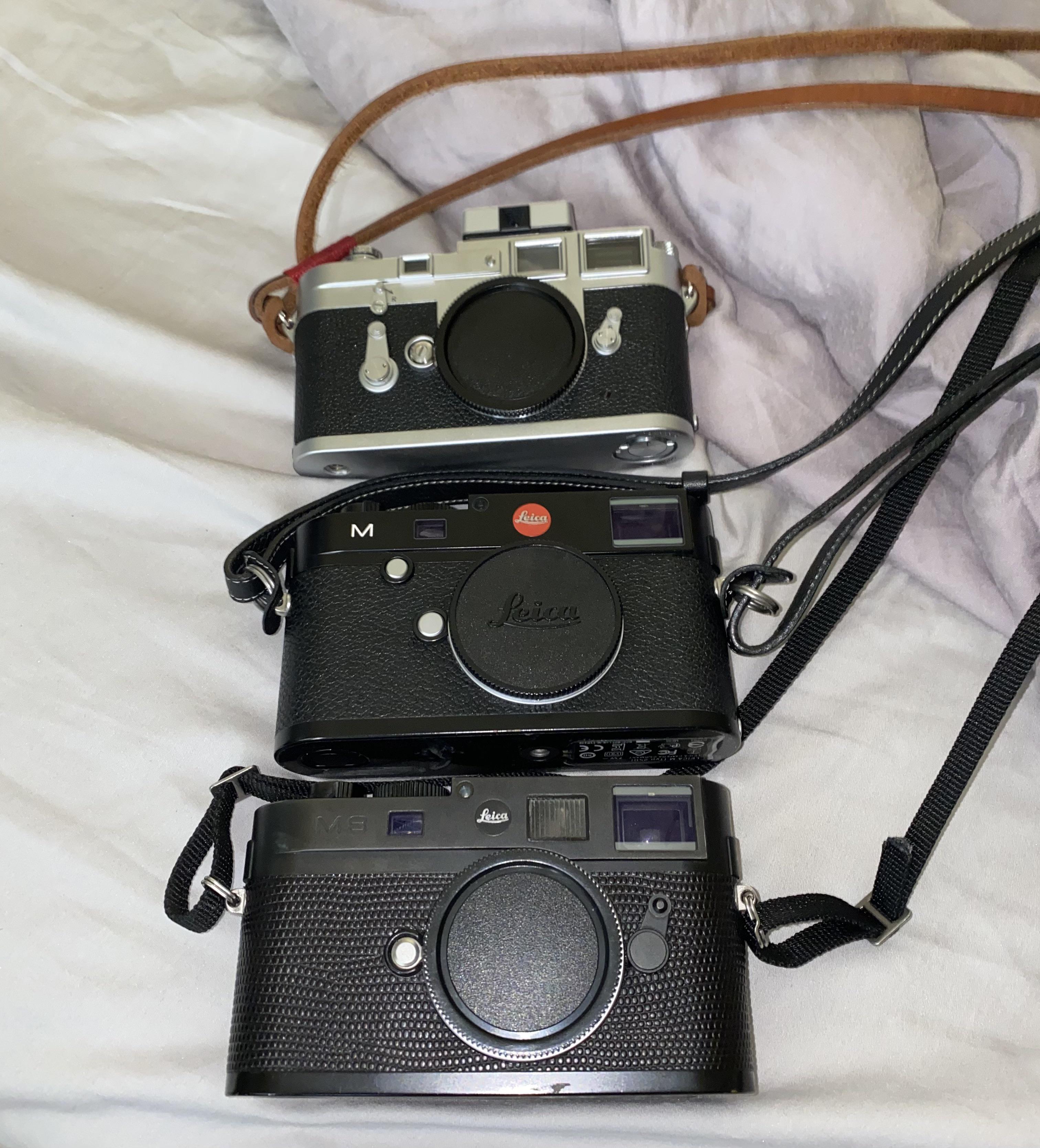 Options.... | Scrolller