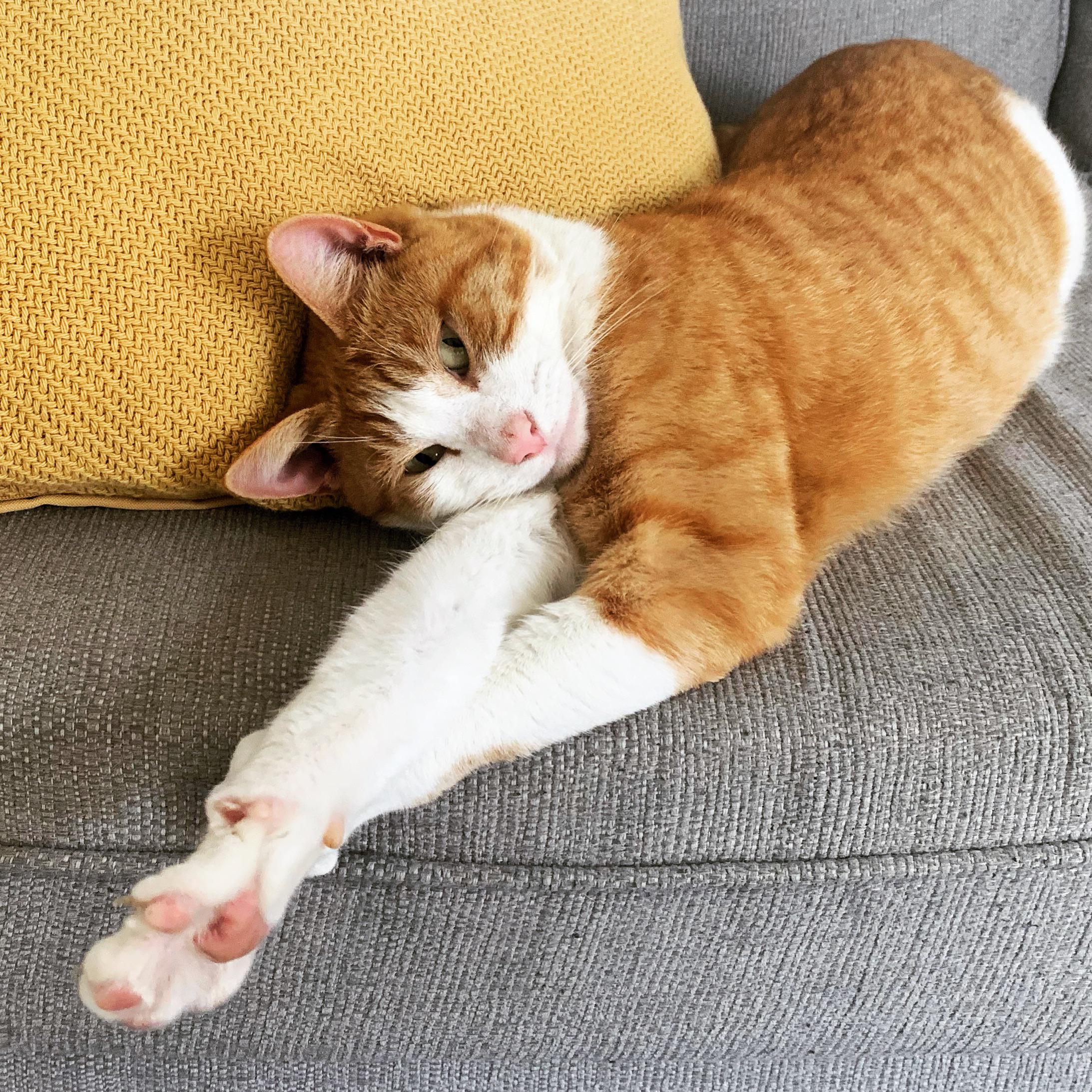 Orange boy, pink beans | Scrolller
