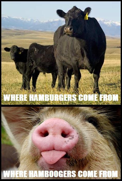 Origin Story | Scrolller