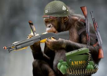 Orslok Tactico | Scrolller