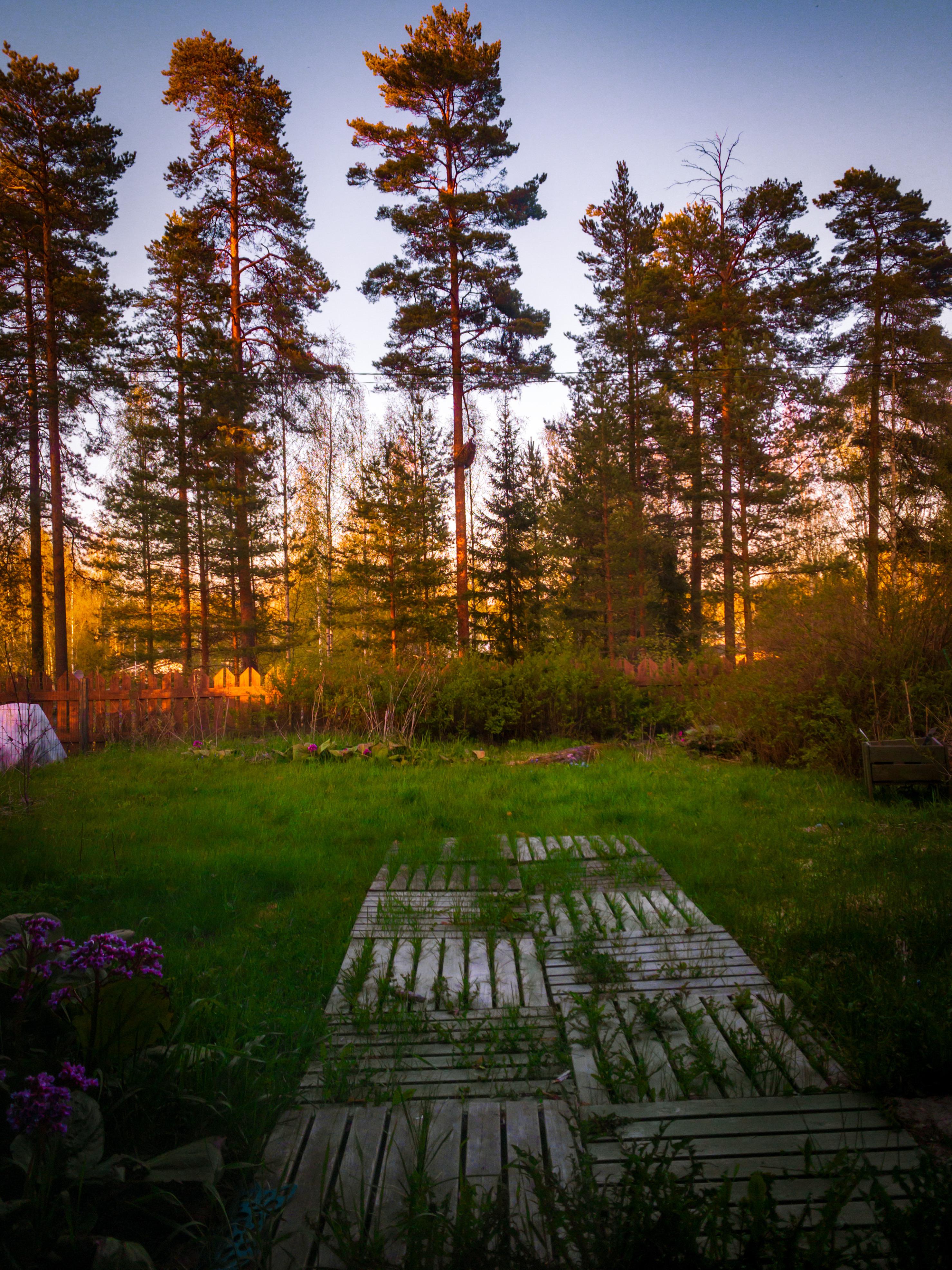 Our backyard gives me good vibes 🍃 | Scrolller