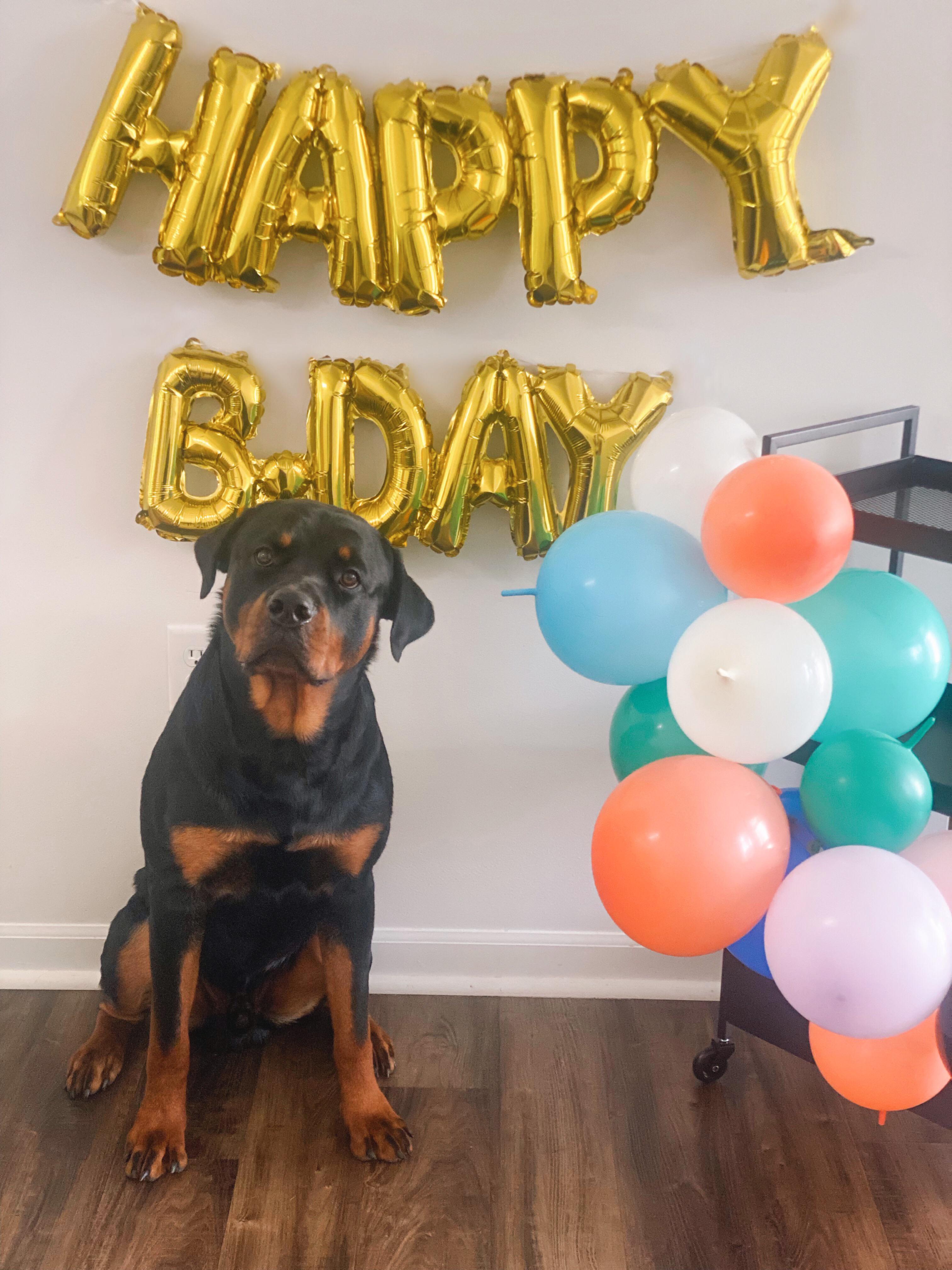 Our boy is one today! | Scrolller