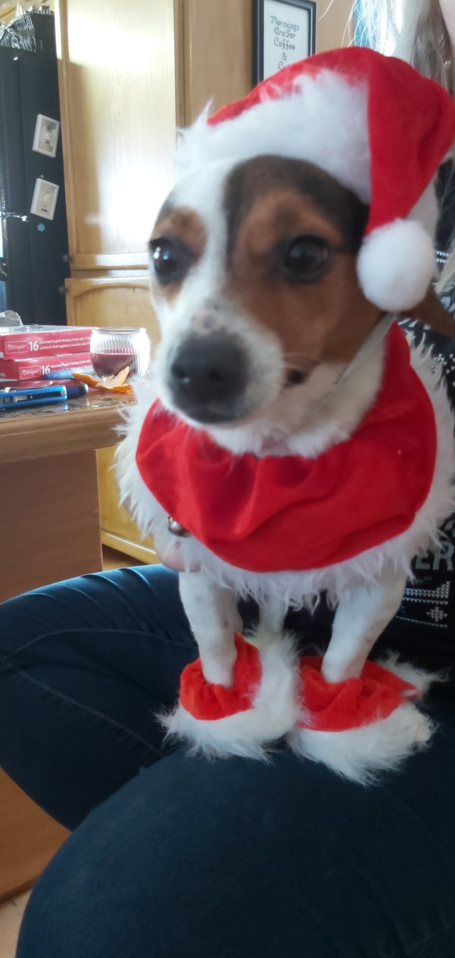 Our favorite holiday season! | Scrolller