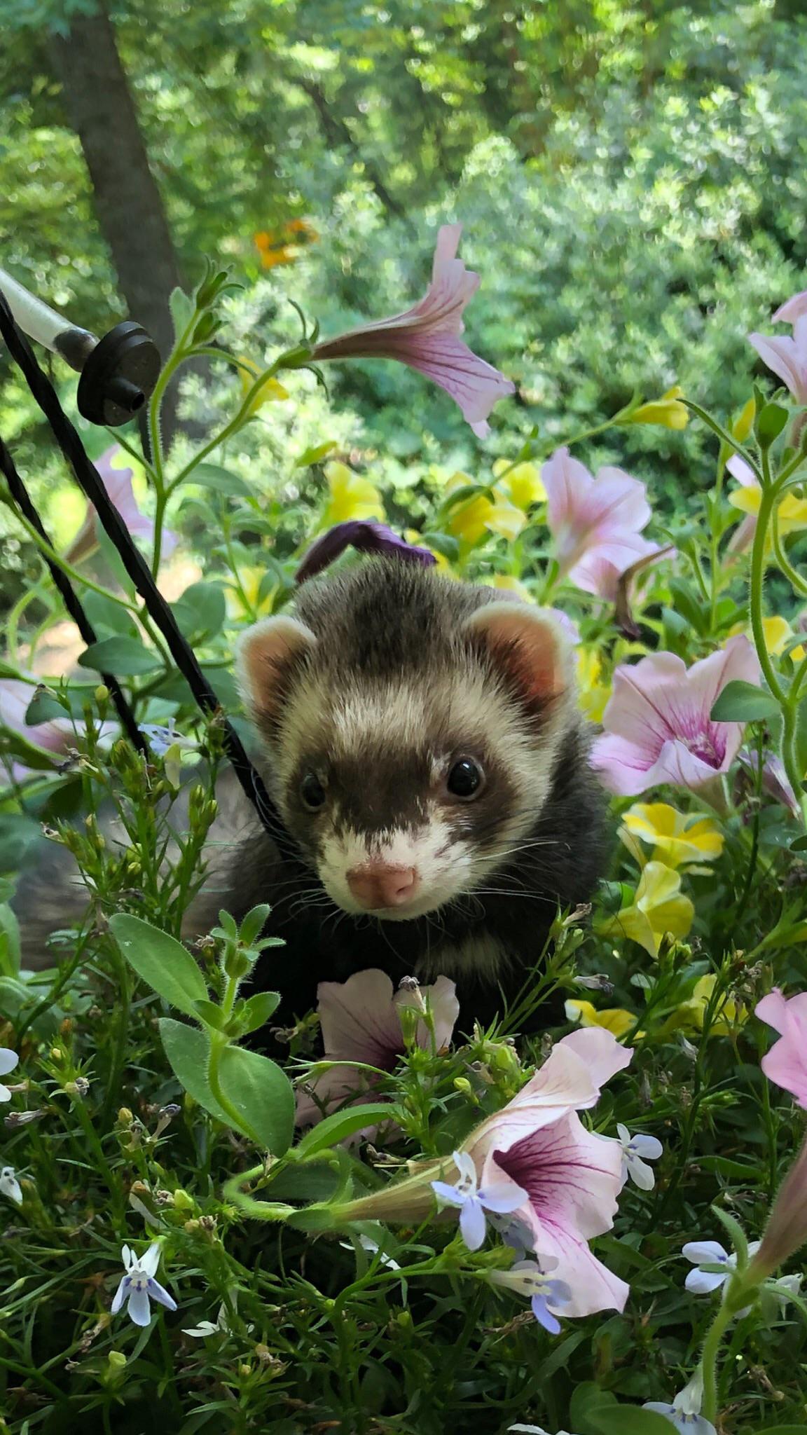 Our first baby, Olive | Scrolller