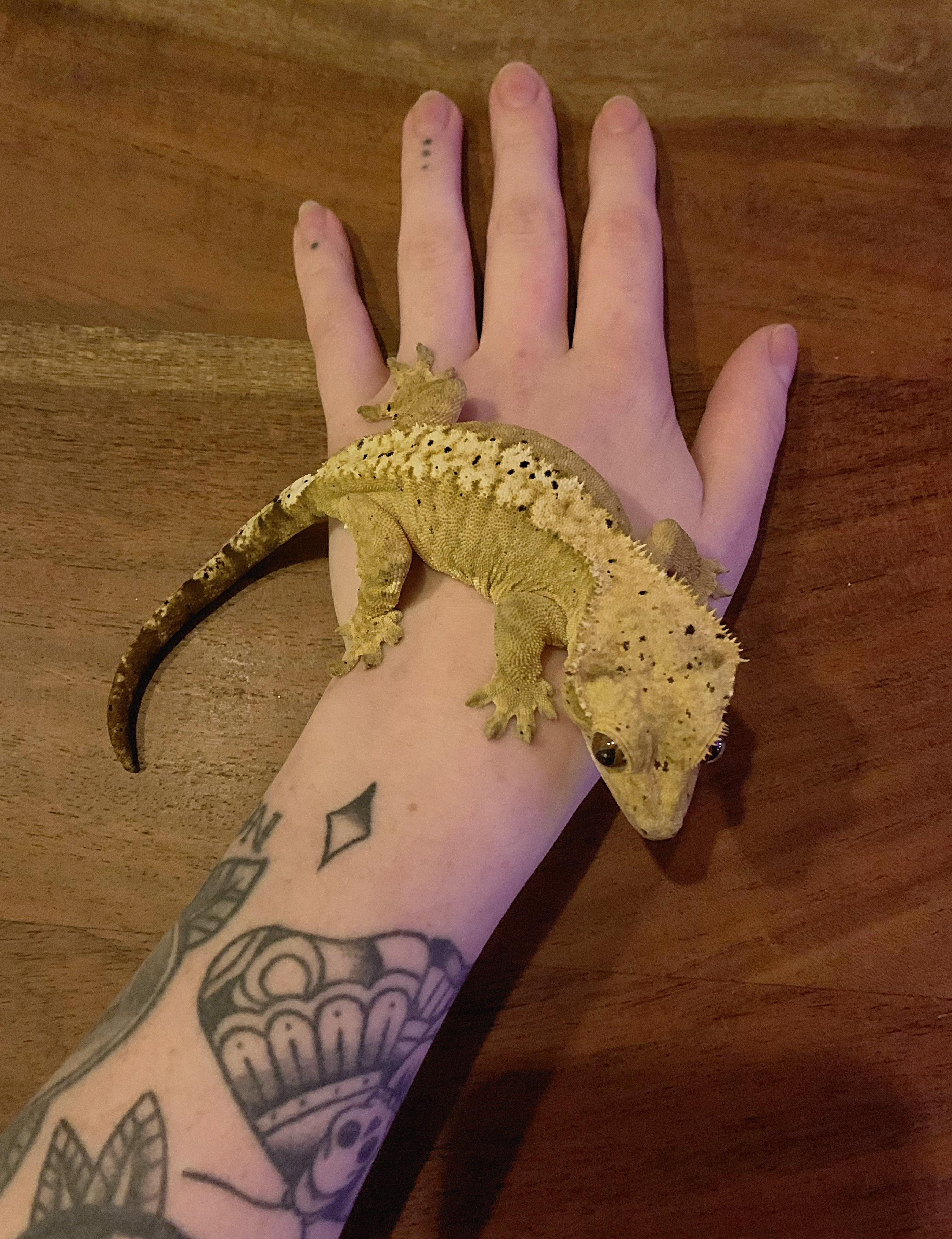 Our girl Hana | Scrolller