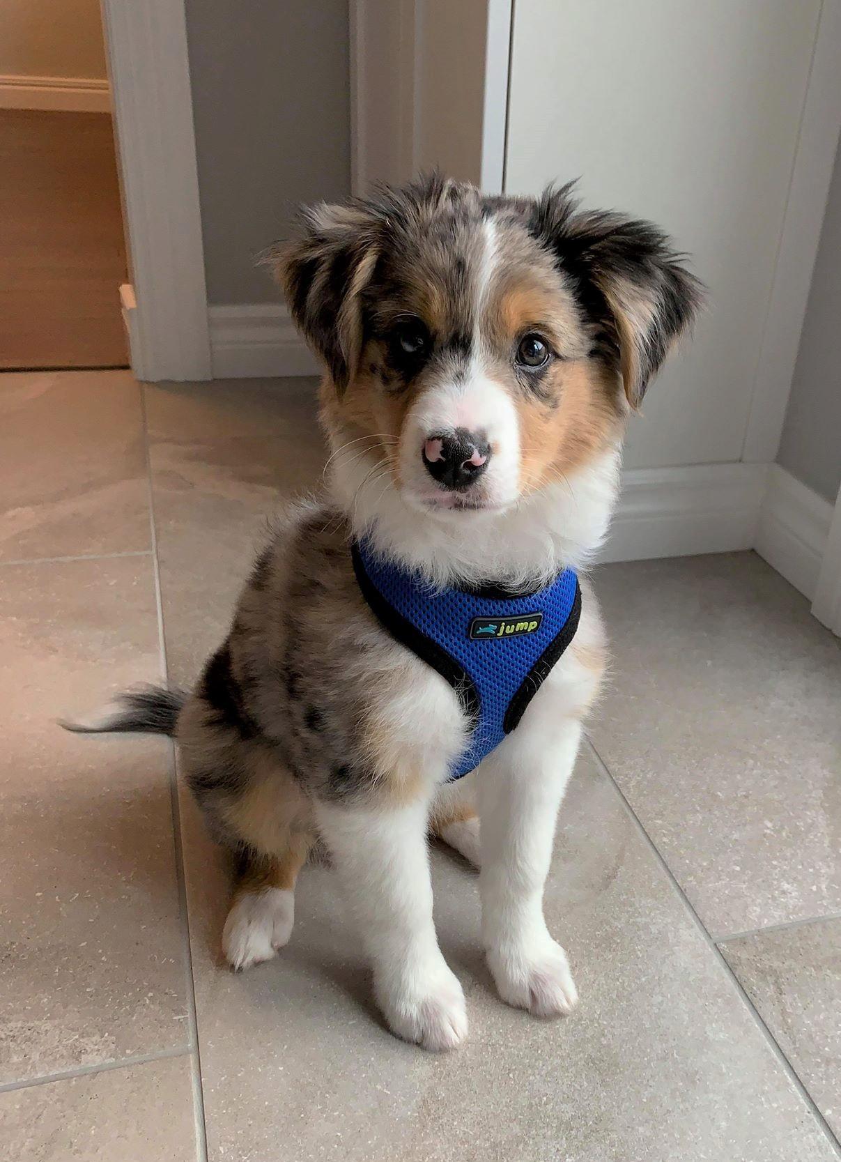 Our guy Levi | Scrolller