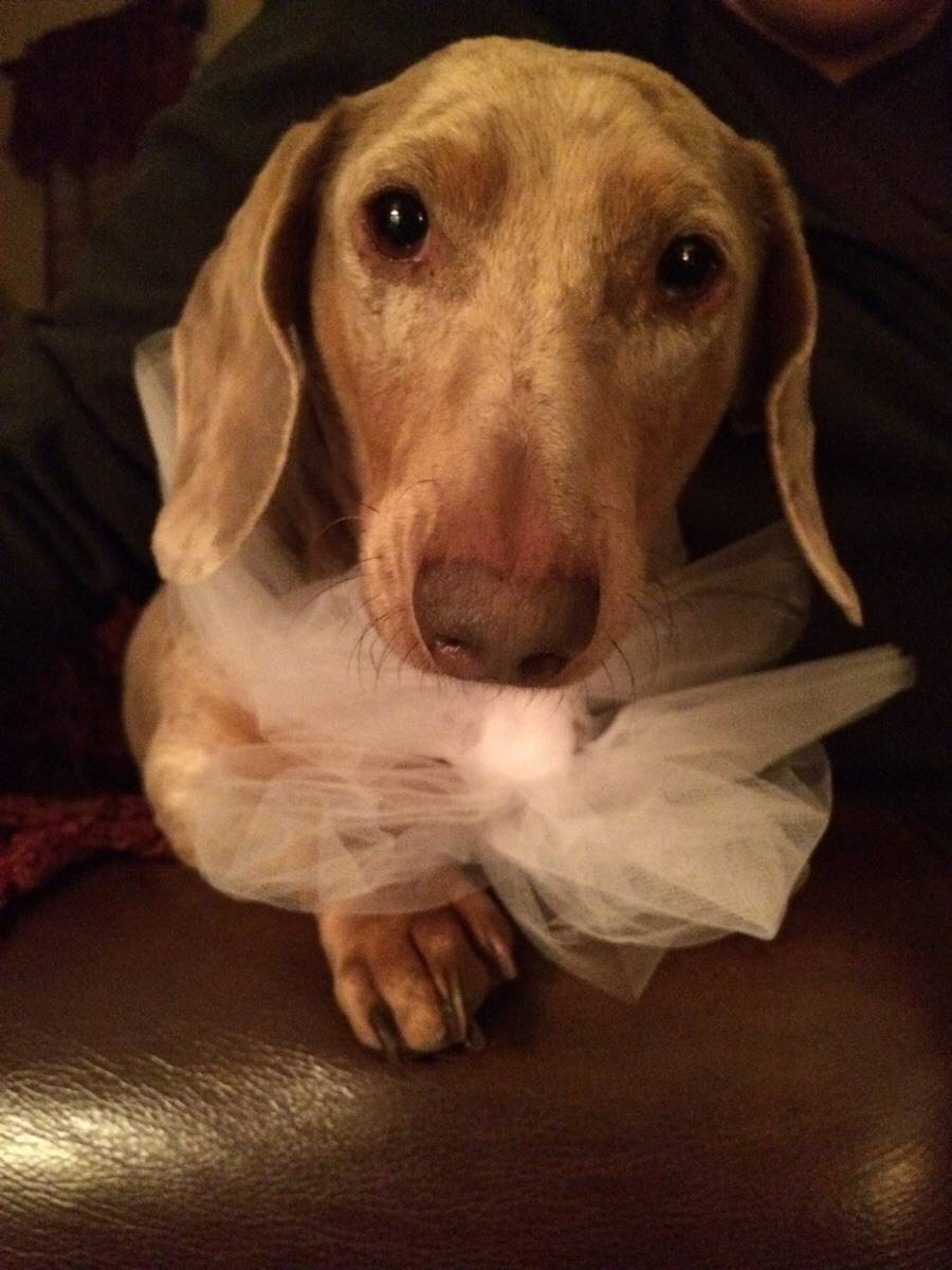 Our handsome man | Scrolller