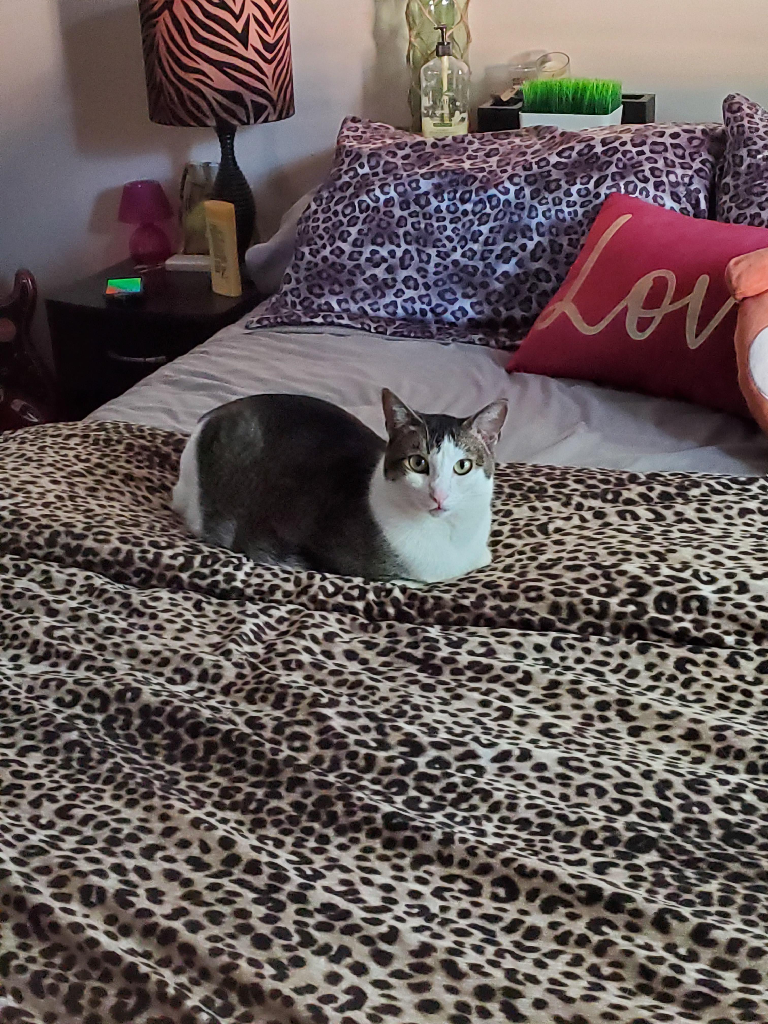 Our "little" loaf | Scrolller