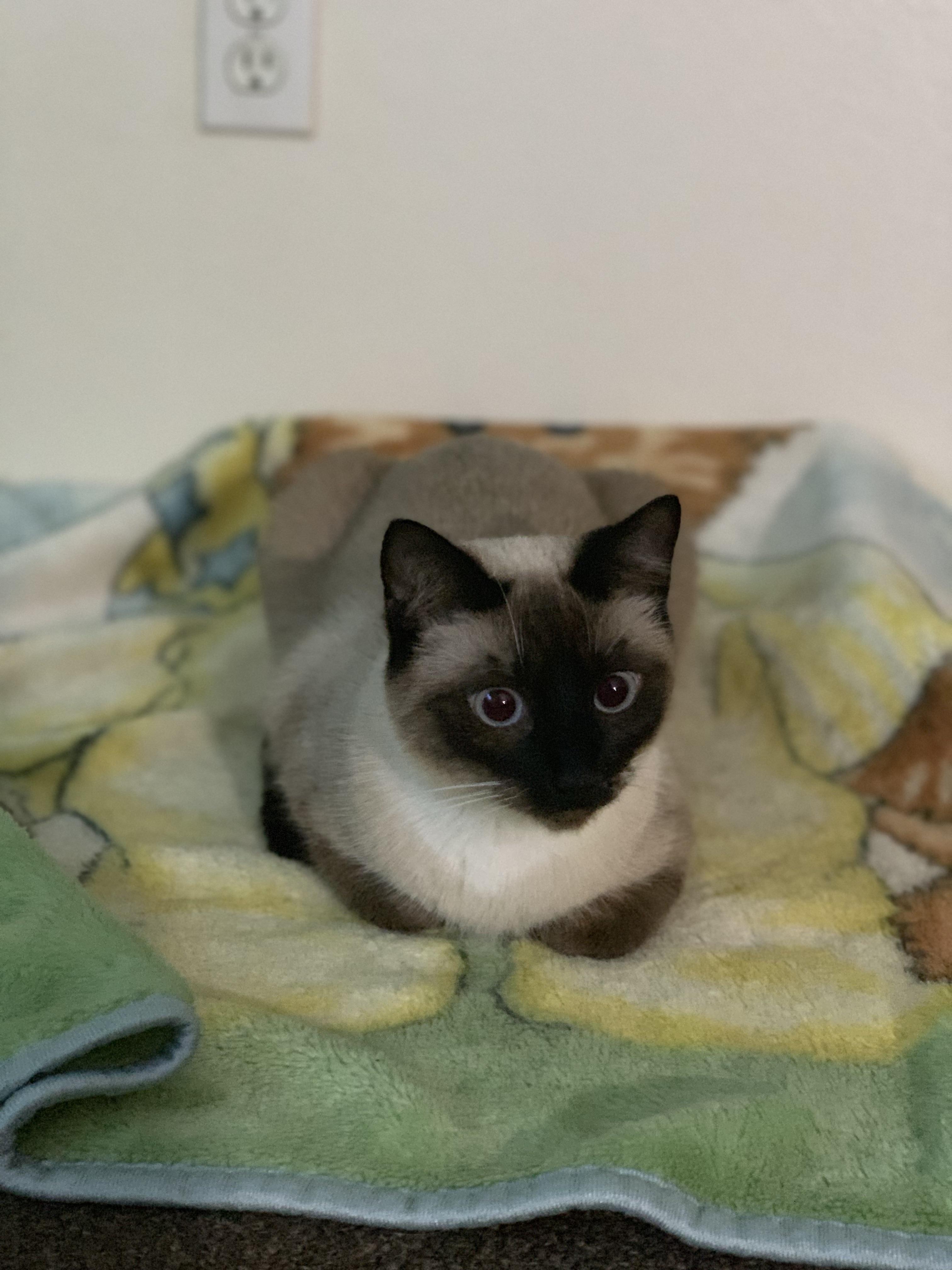 Our little loaf | Scrolller