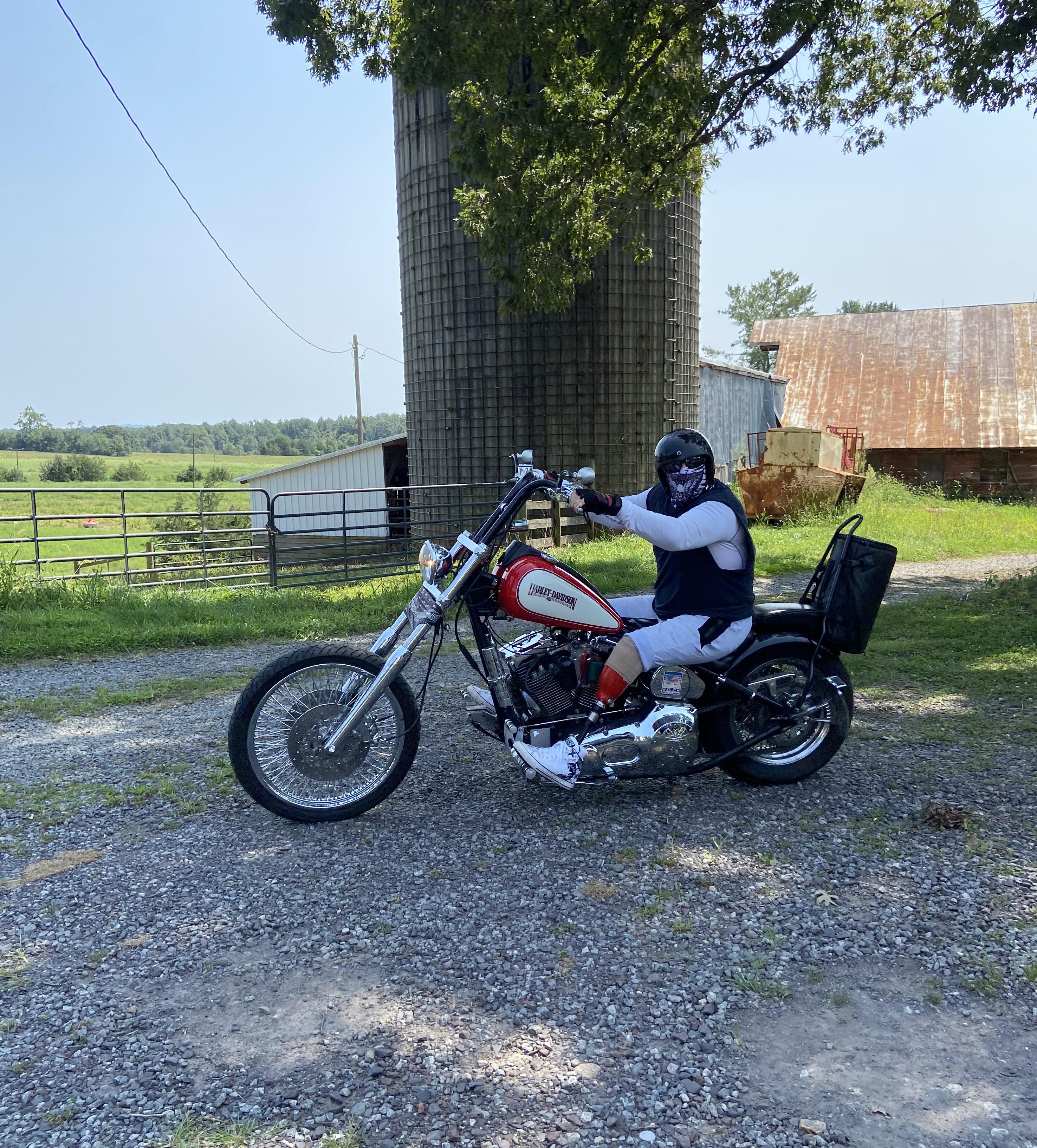 Our little mule HD custom rigid chopper | Scrolller