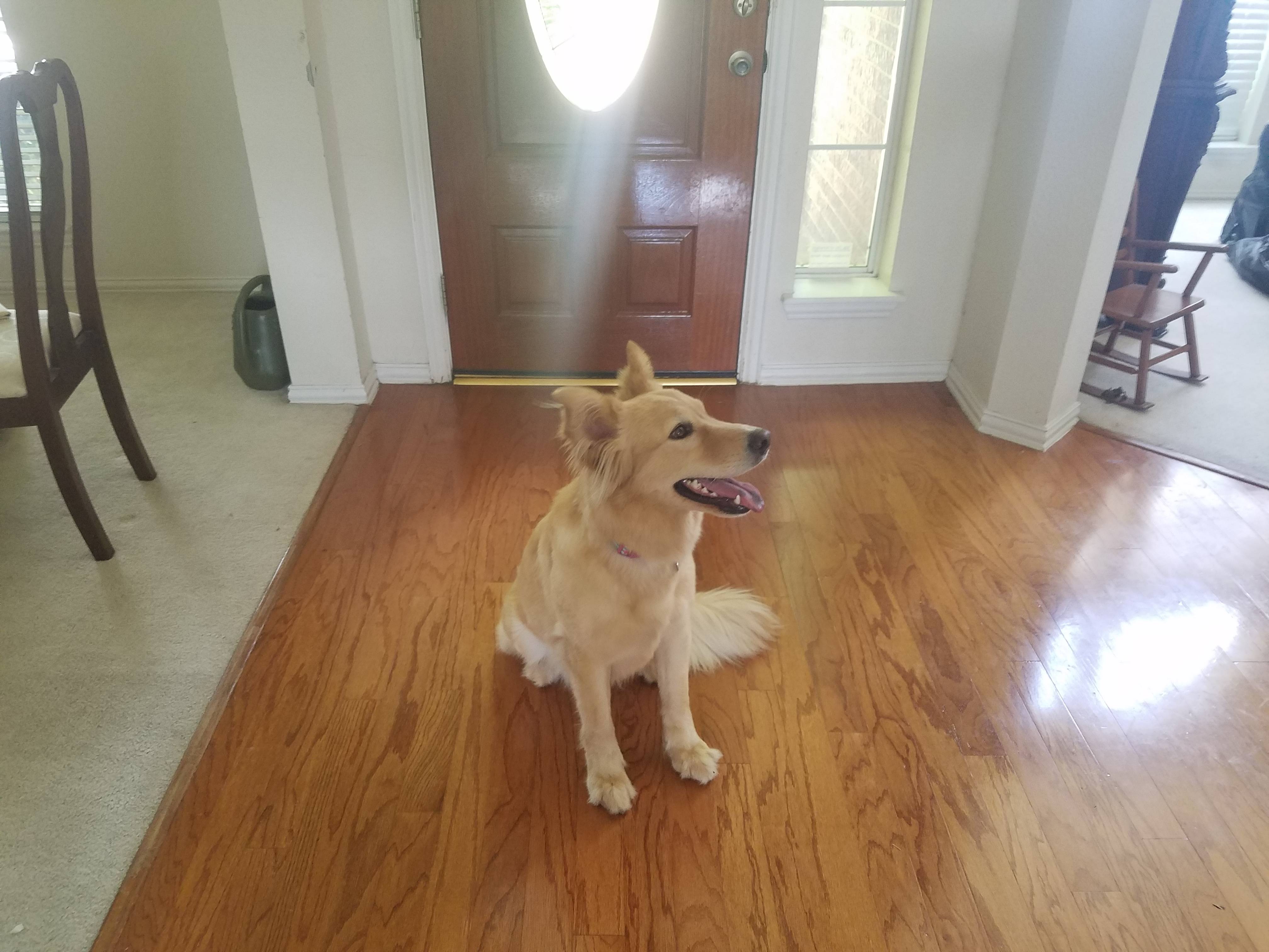 Our new family member | Scrolller