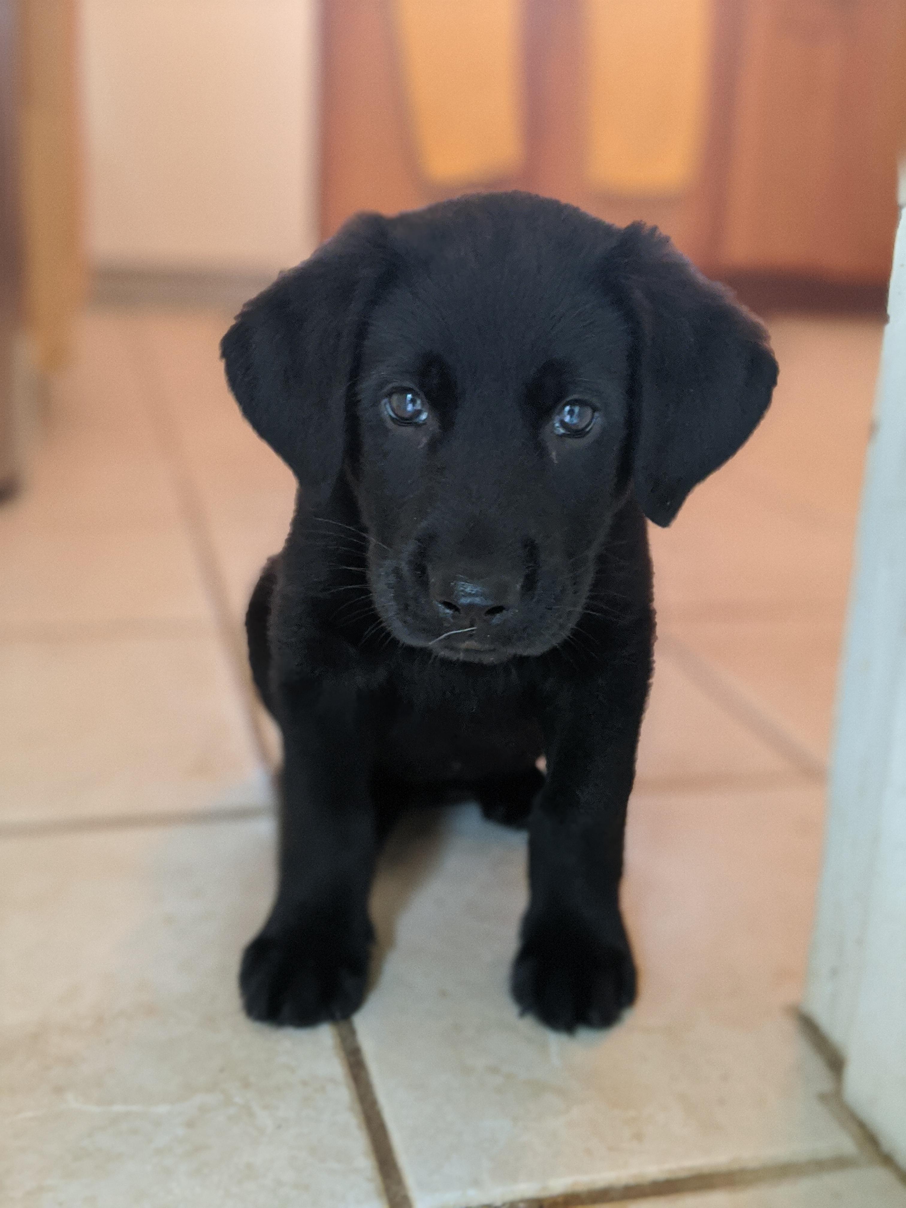 Our new little girl needs a name - help us! | Scrolller