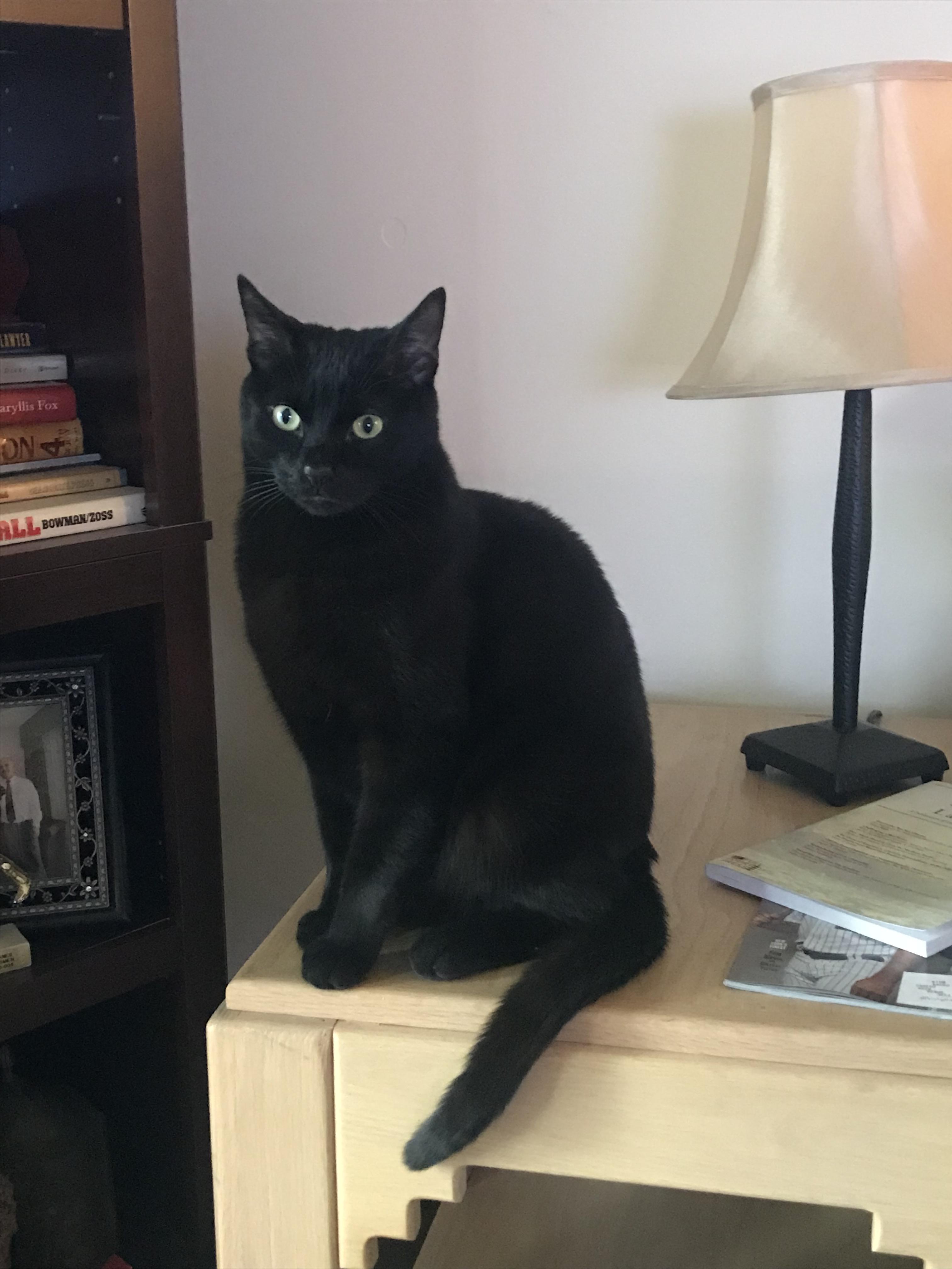 Our prince Franklin | Scrolller