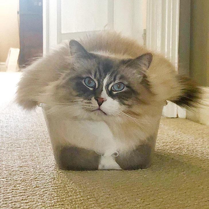 Overflowing loaf | Scrolller