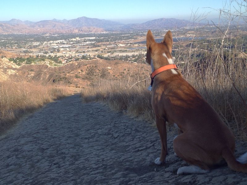 Overlooking The Valley.. | Scrolller