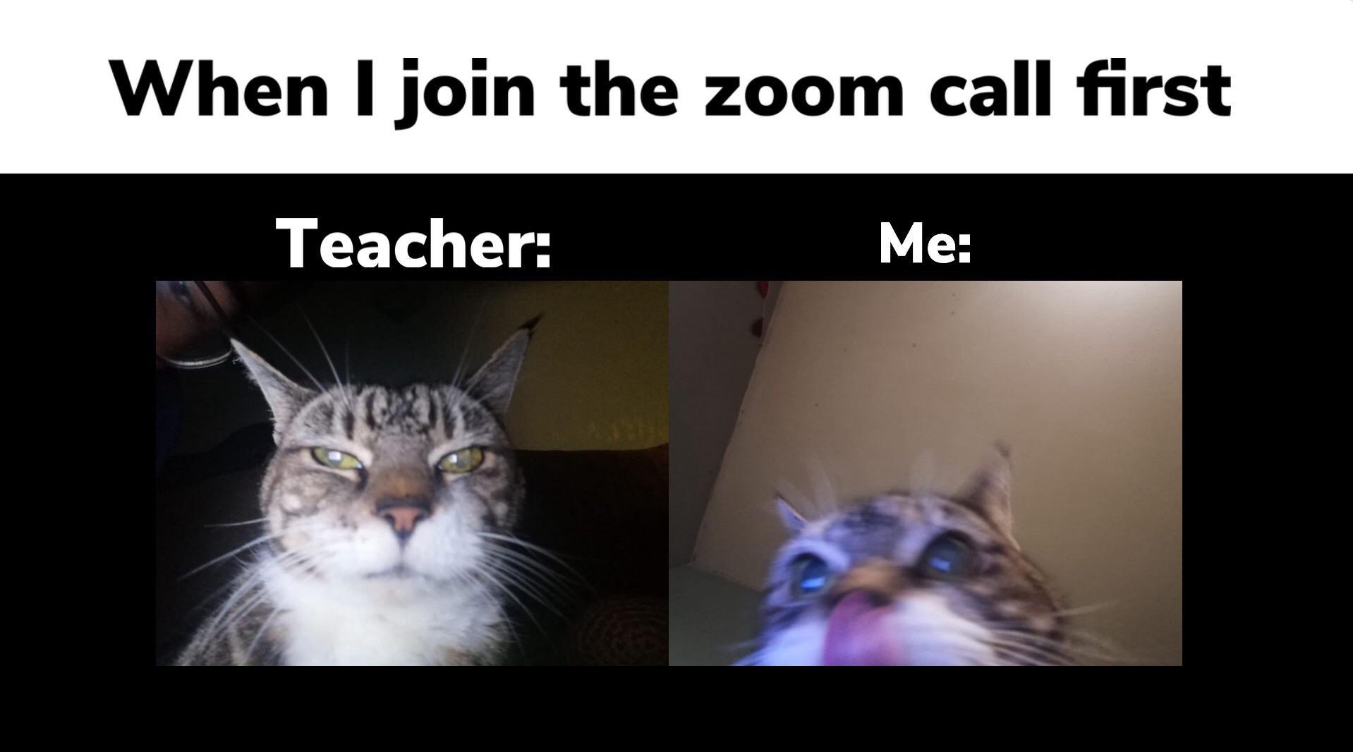 Overused theme, low effort meme by yours truly | Scrolller