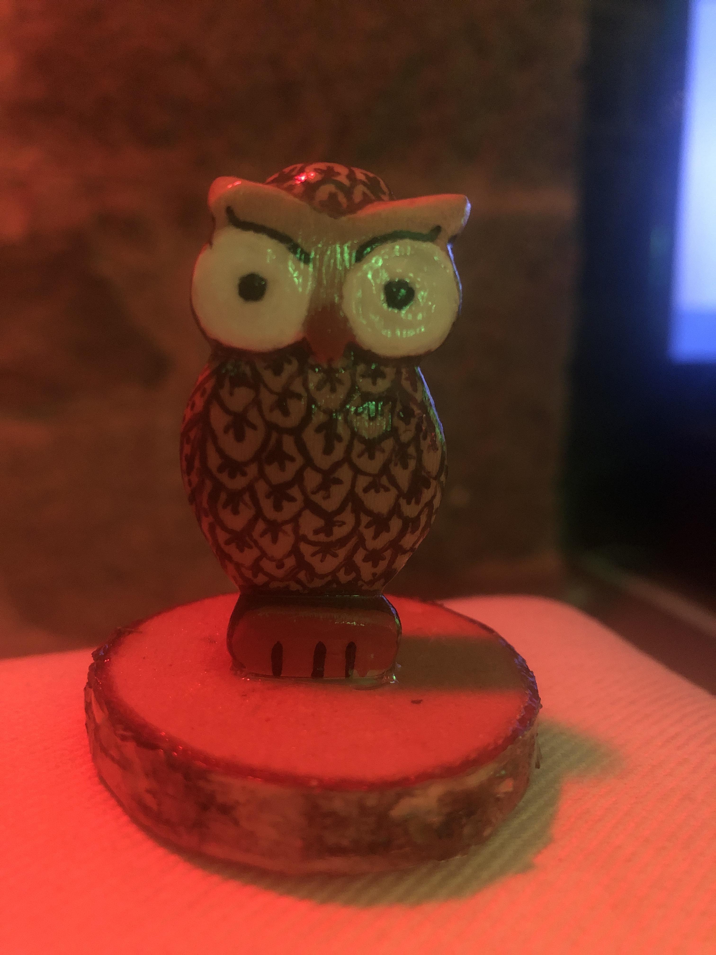 Owl | Scrolller