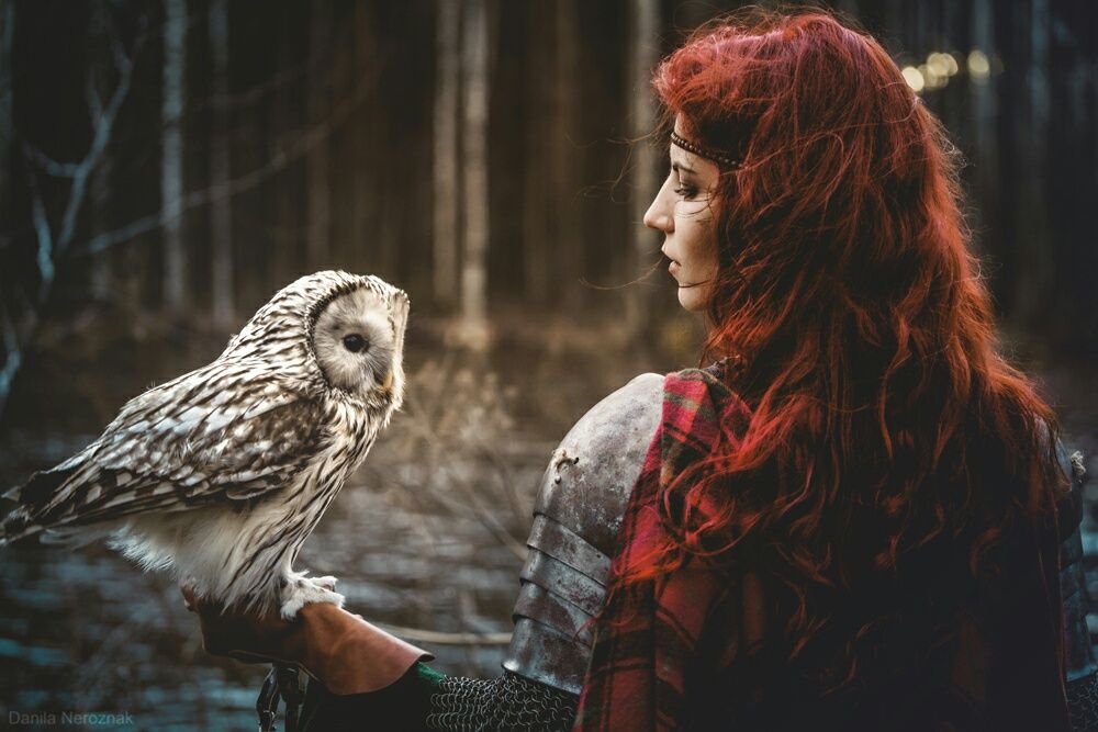 Owl messenger | Scrolller