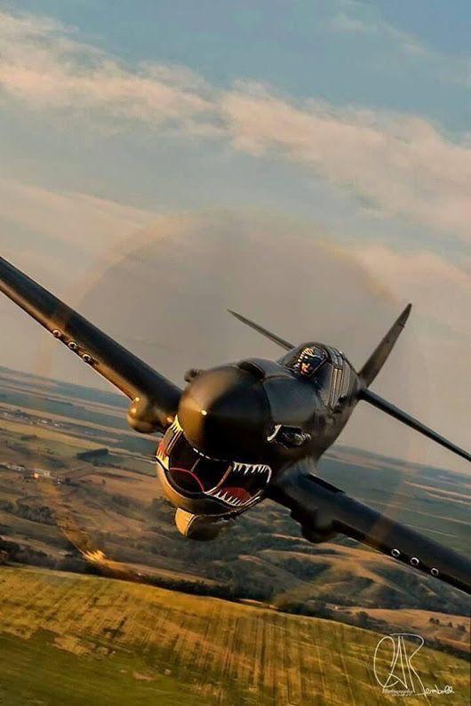 P-40 Warhawk | Scrolller