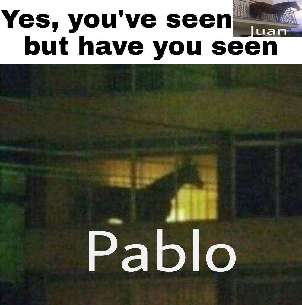 Pablo? P A B L O | Scrolller