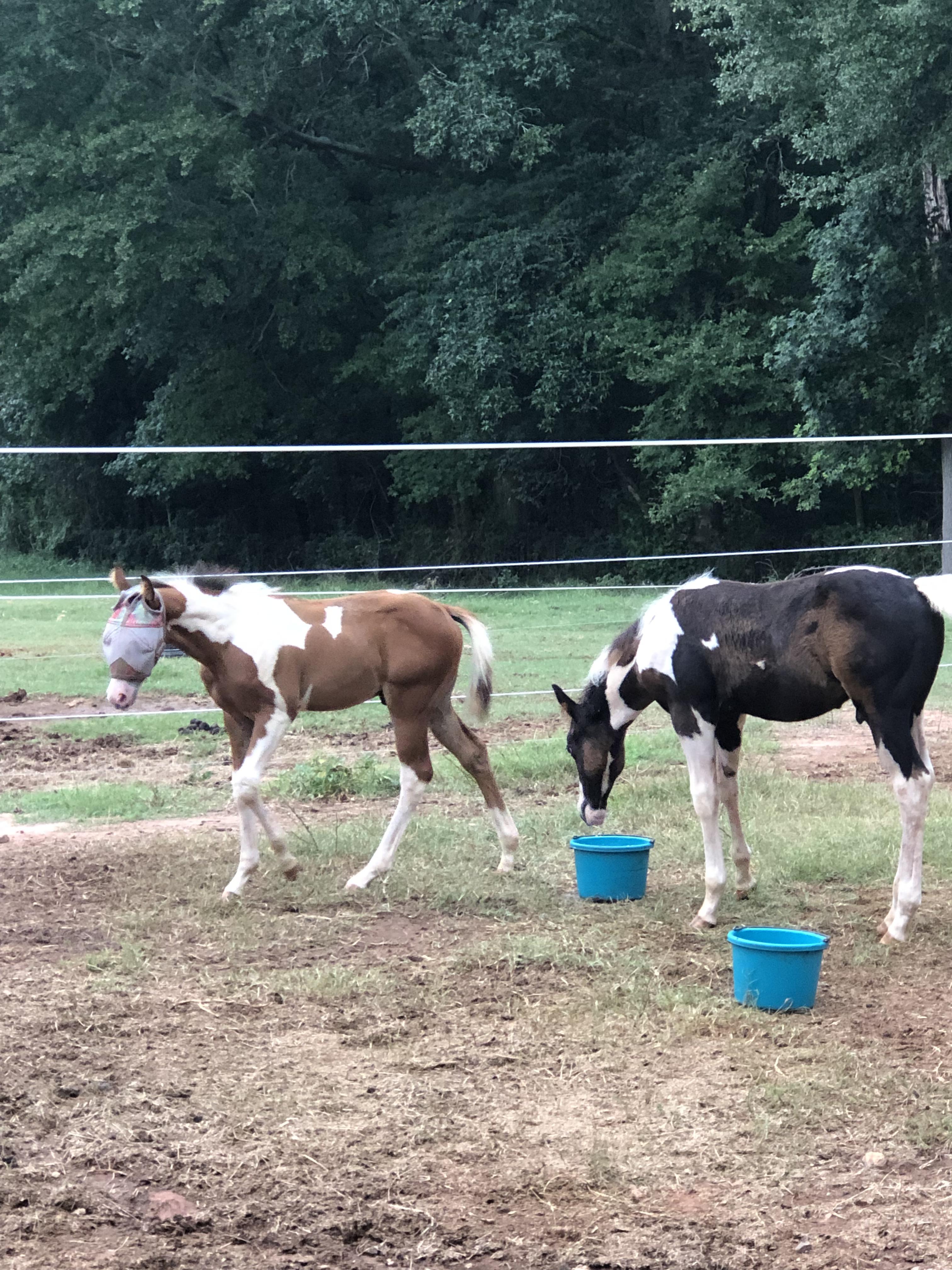 Painted baby playtime | Scrolller