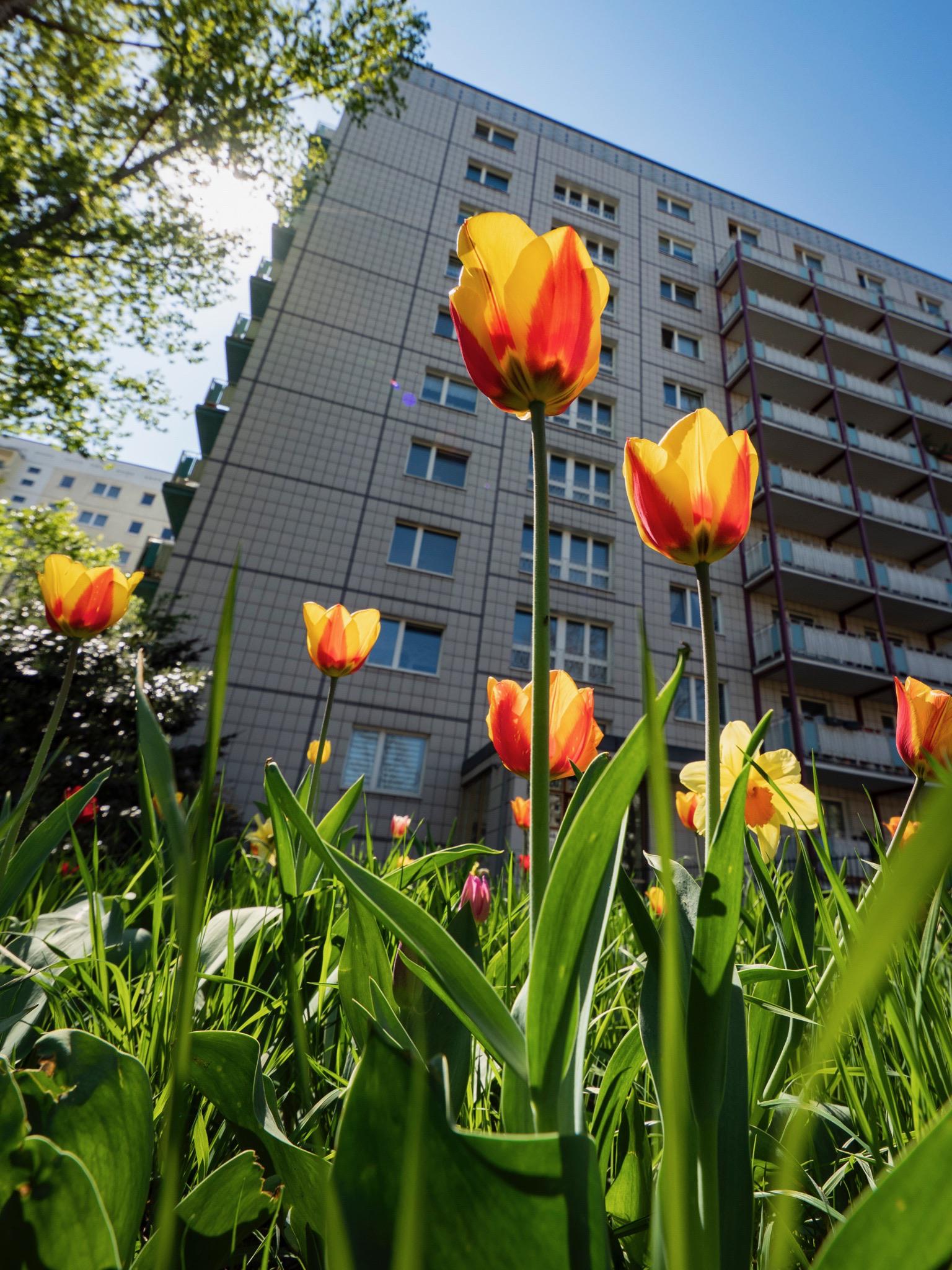 Discover more like AmateurPhotography: Panel building and Related Content | Scrolller