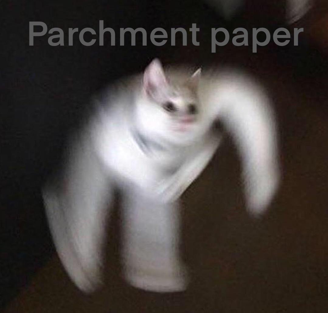 Parchment paper | Scrolller