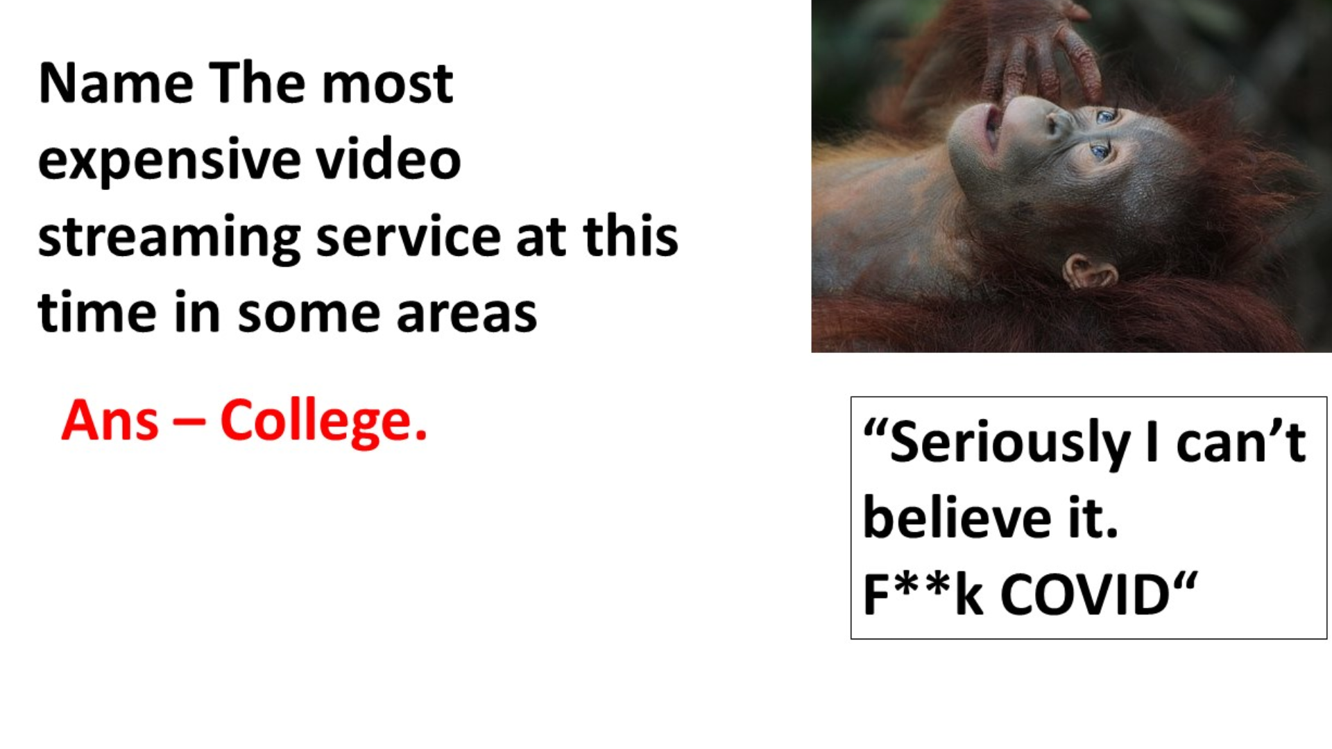 Parents won't find it funny | Scrolller