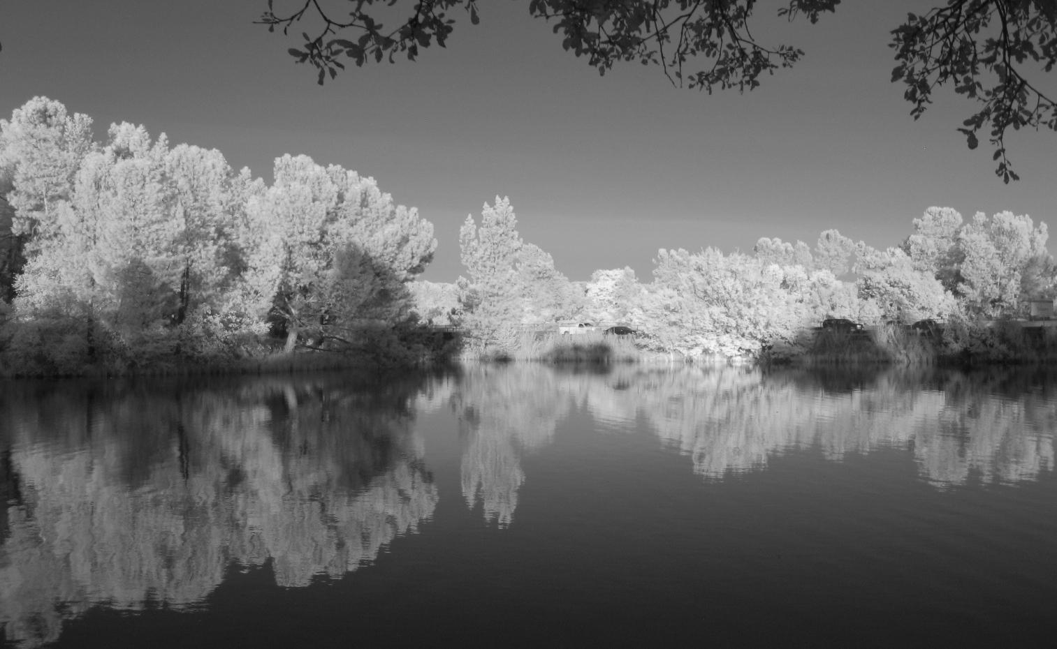 Discover more like InfraredPorn: Park Pond[OC] and Related Content | Scrolller