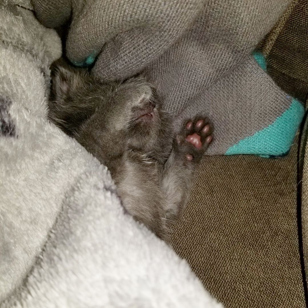 Passed out in a milk coma beans. | Scrolller