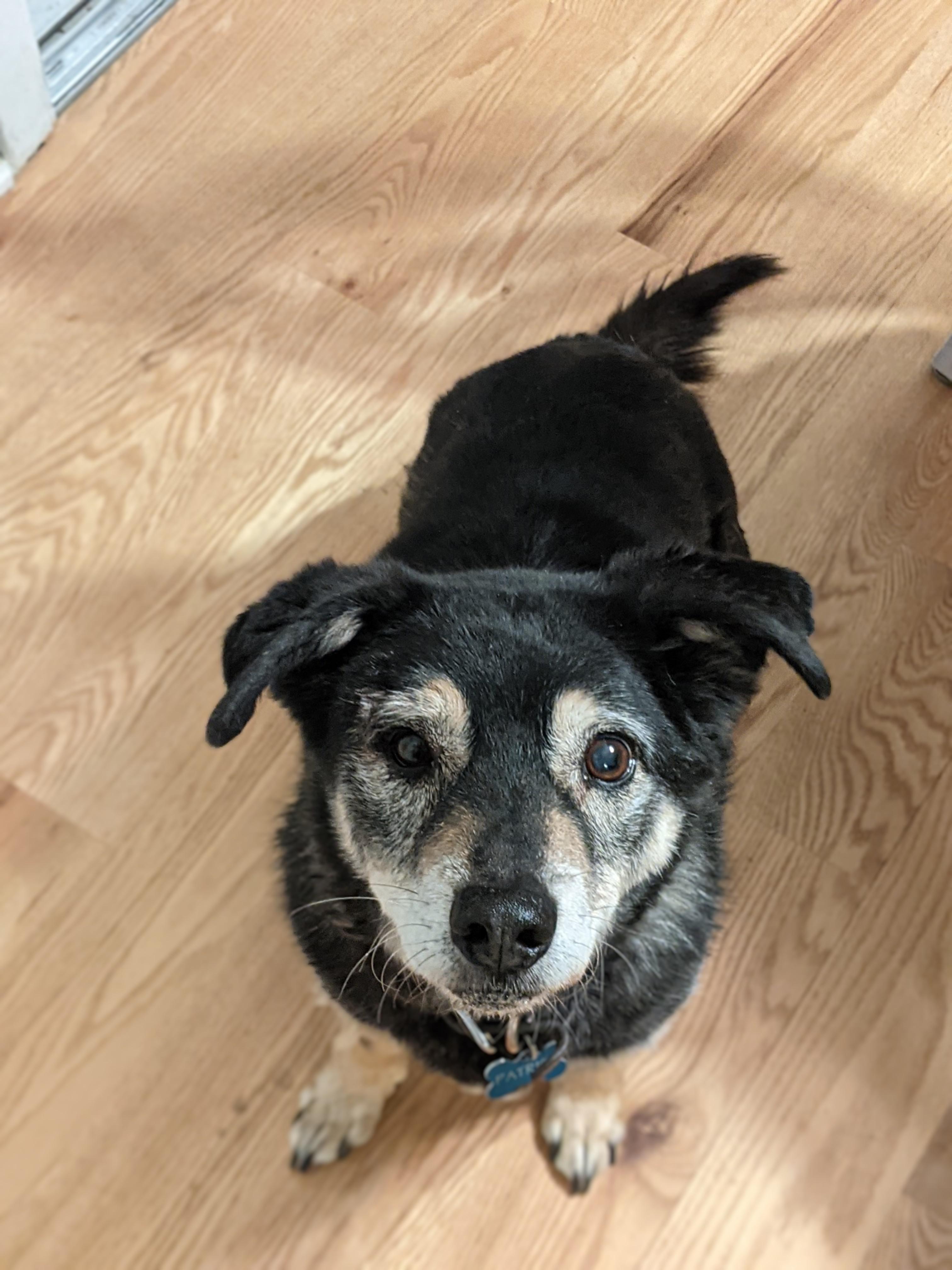 Patty Mac | Scrolller