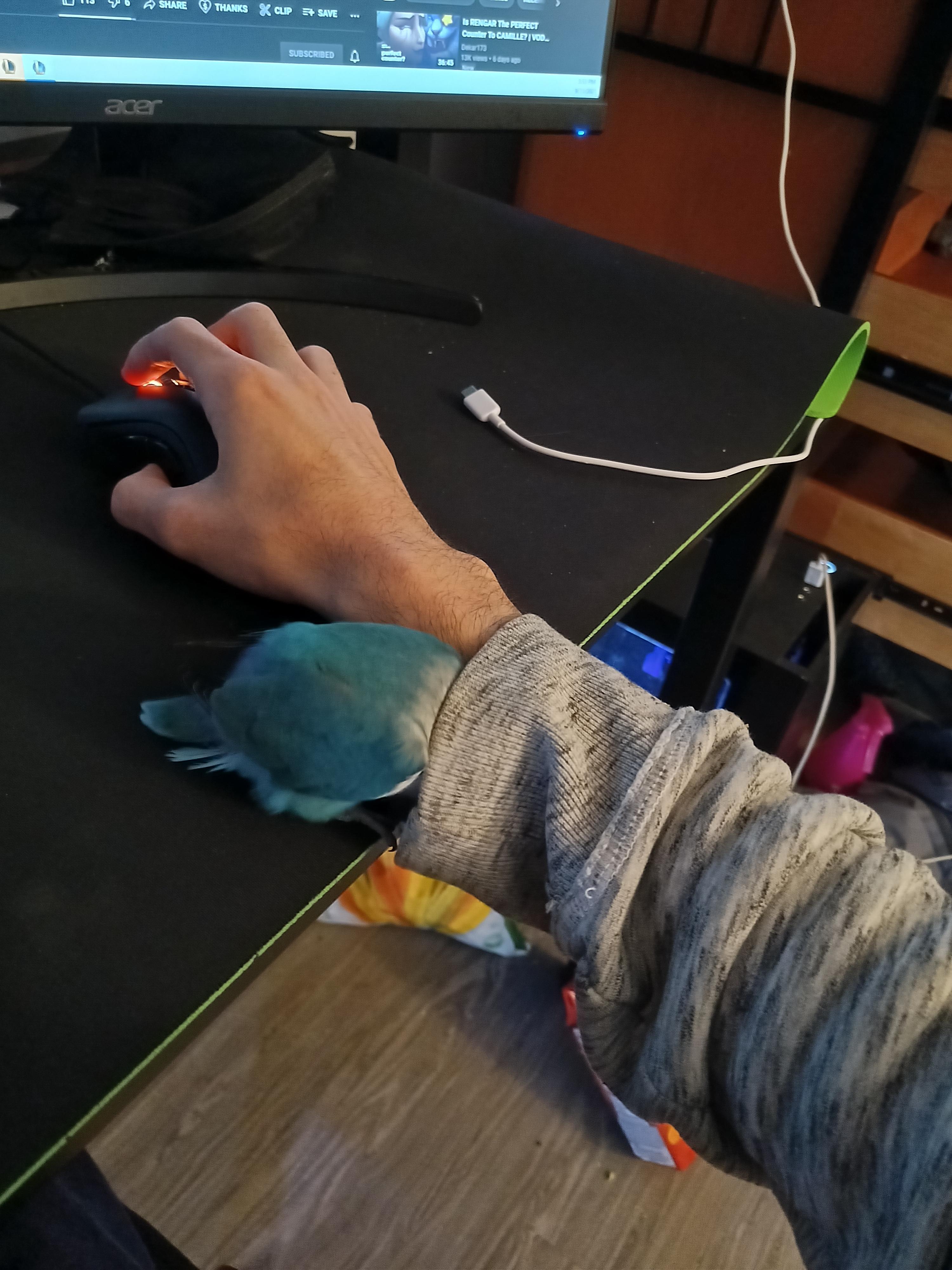 Pay Attention to Me! | Scrolller